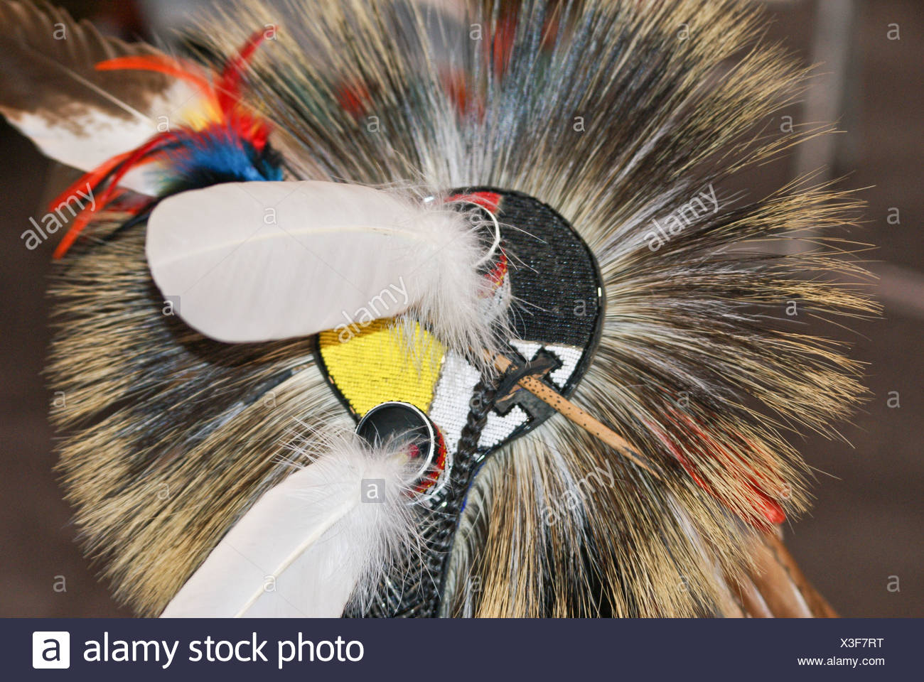 Indian Feathers Banque d'image et photos - Alamy