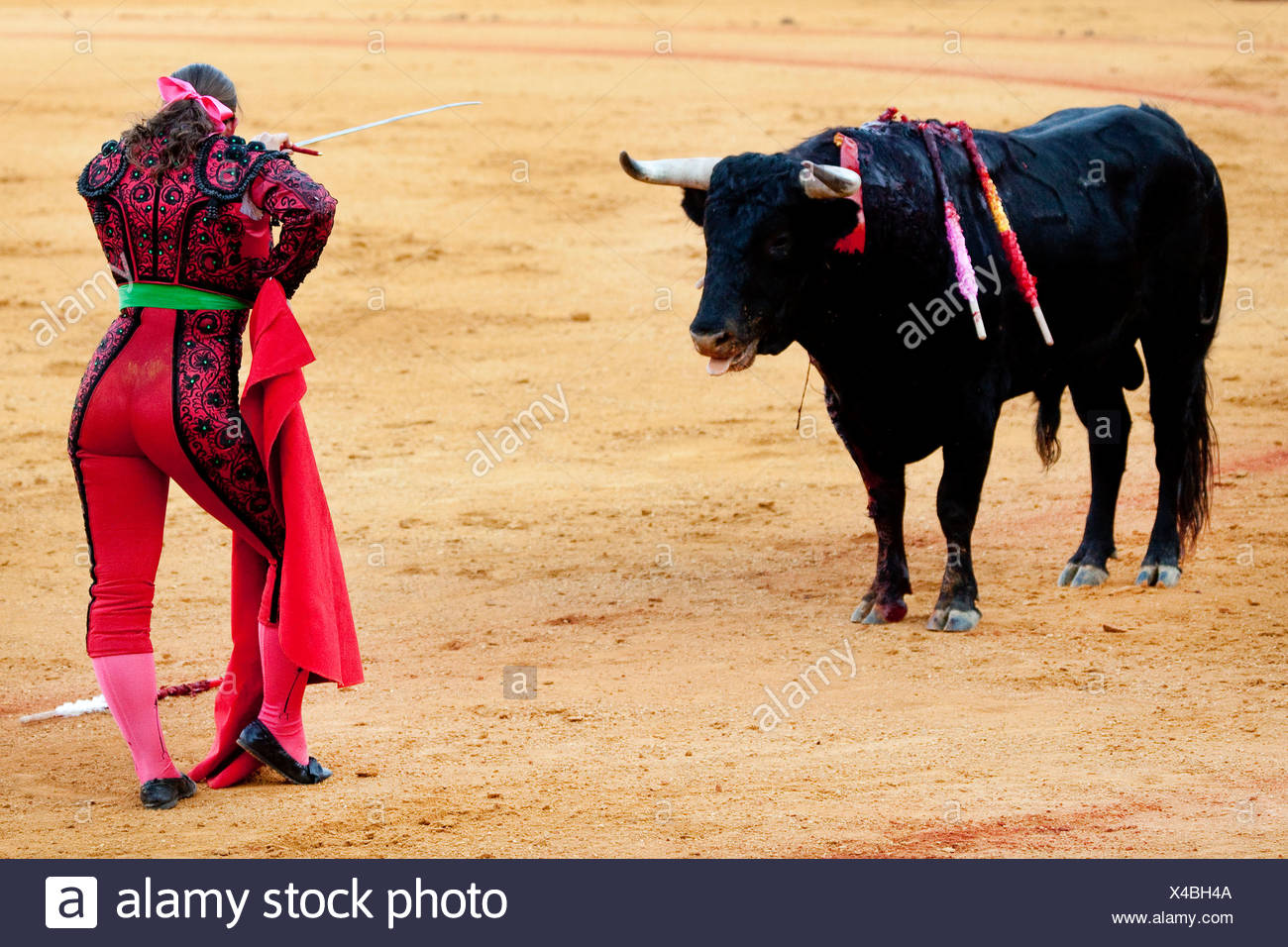 Female Torero Torera Matador Bull Banque d'image et photos - Alamy