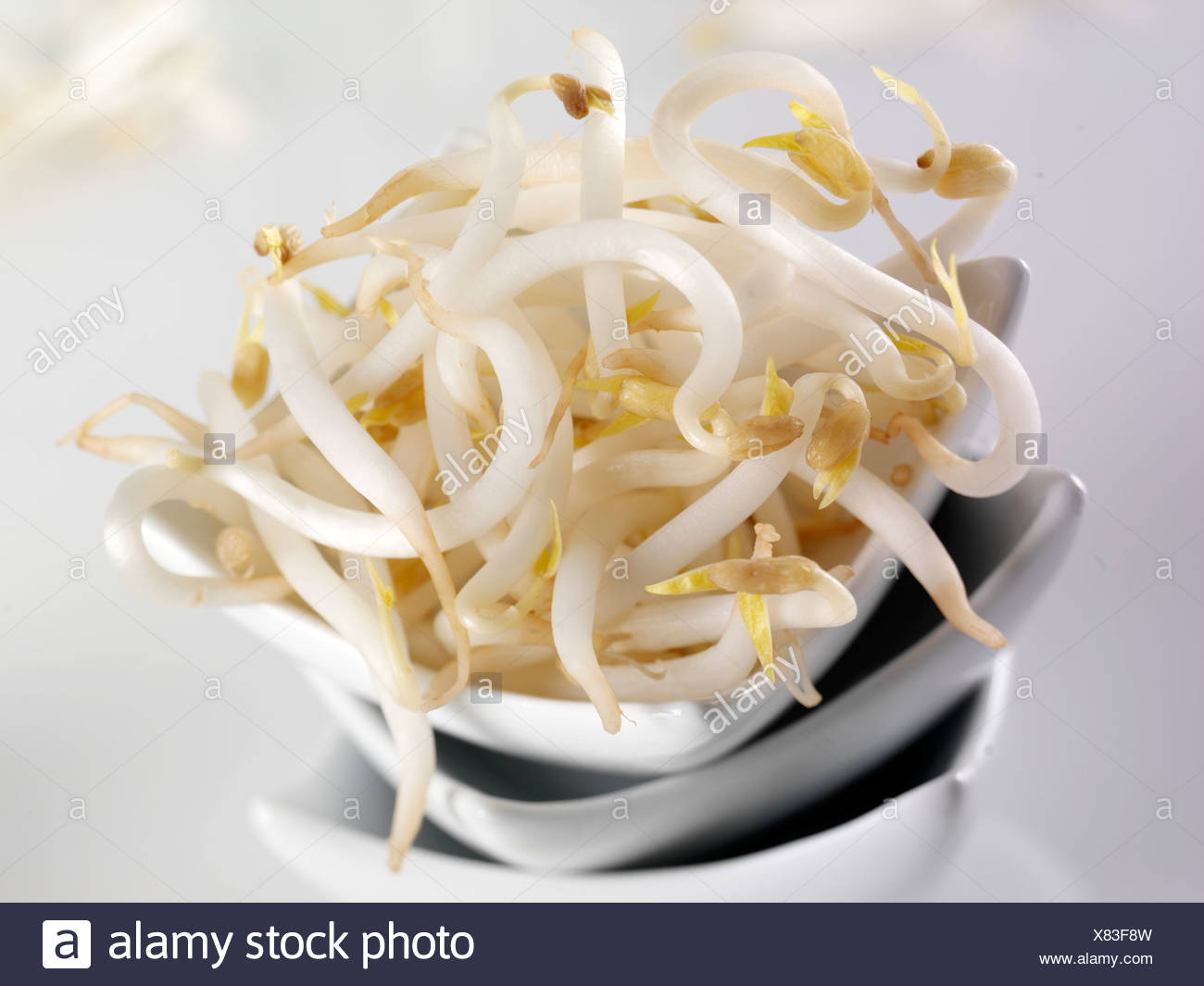 Pousses De Soja Banque d'image et photos - Alamy