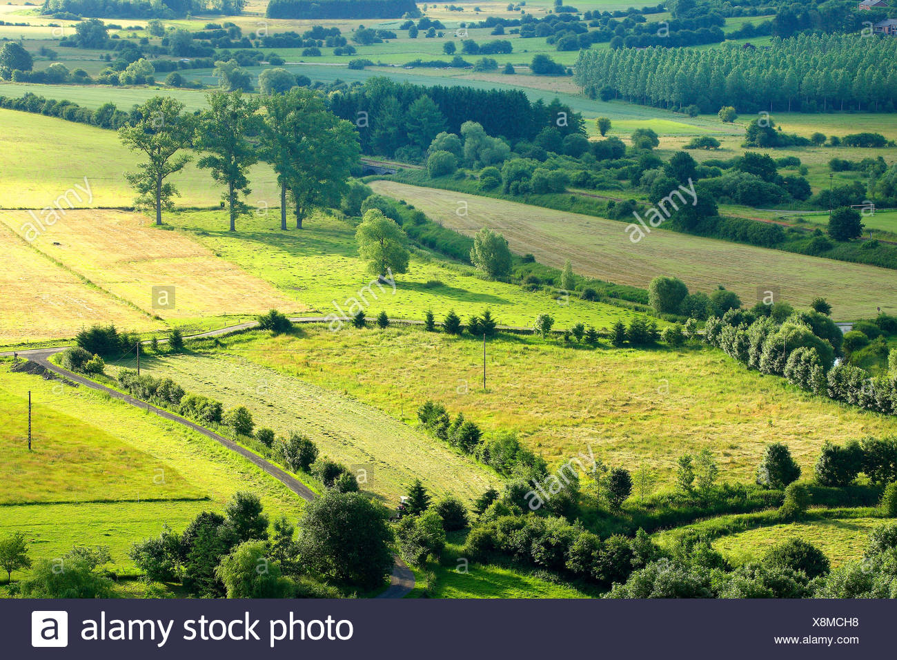 Bocage Landscape With Hedges And Trees Banque d'image et photos - Alamy