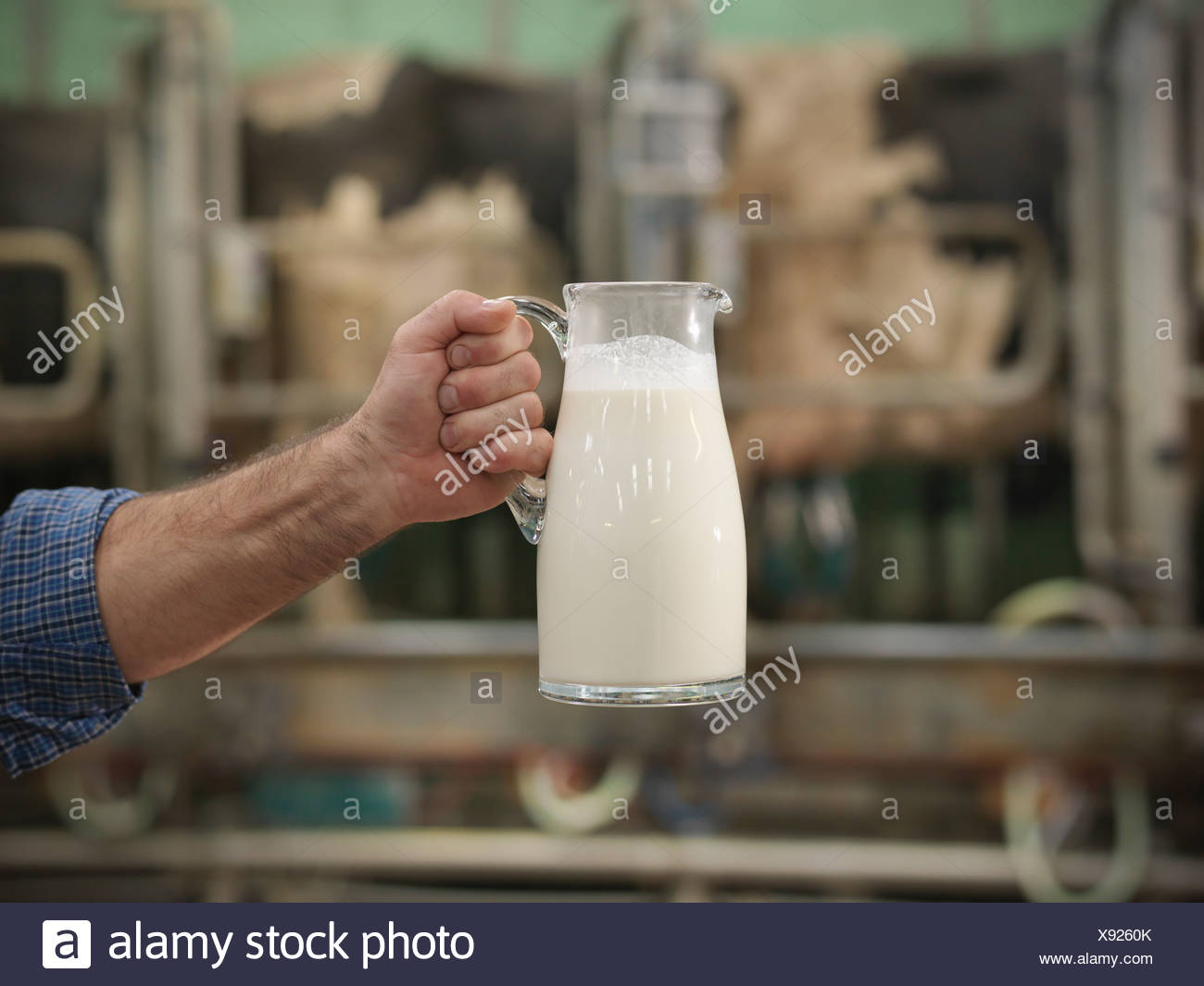 Traite Du Lait Banque d'image et photos - Alamy