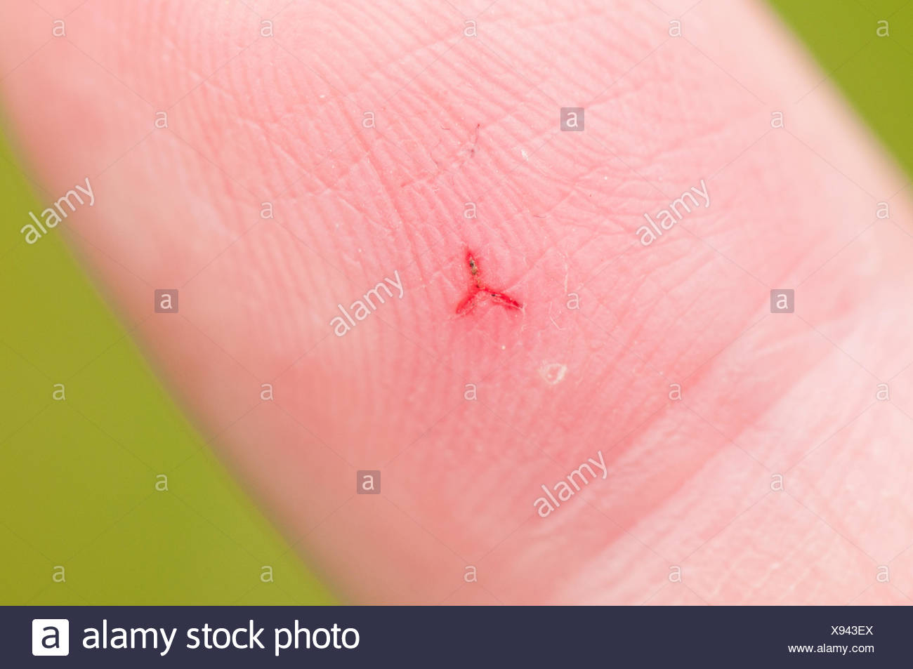 En Forme De Doigt Banque d'image et photos - Alamy