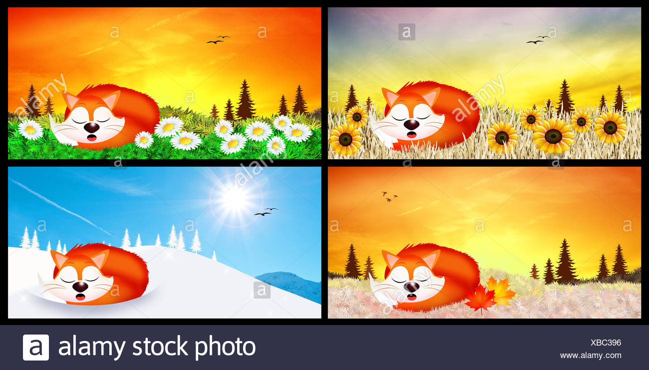 Four Seasons Cartoon Illustration Banque d'image et photos - Alamy