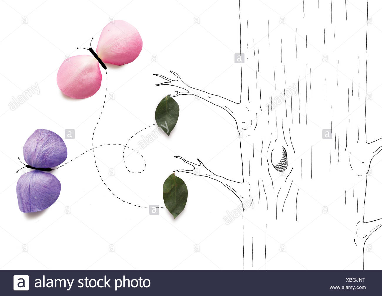 Chrysalide Dessin Banque d'image et photos - Alamy