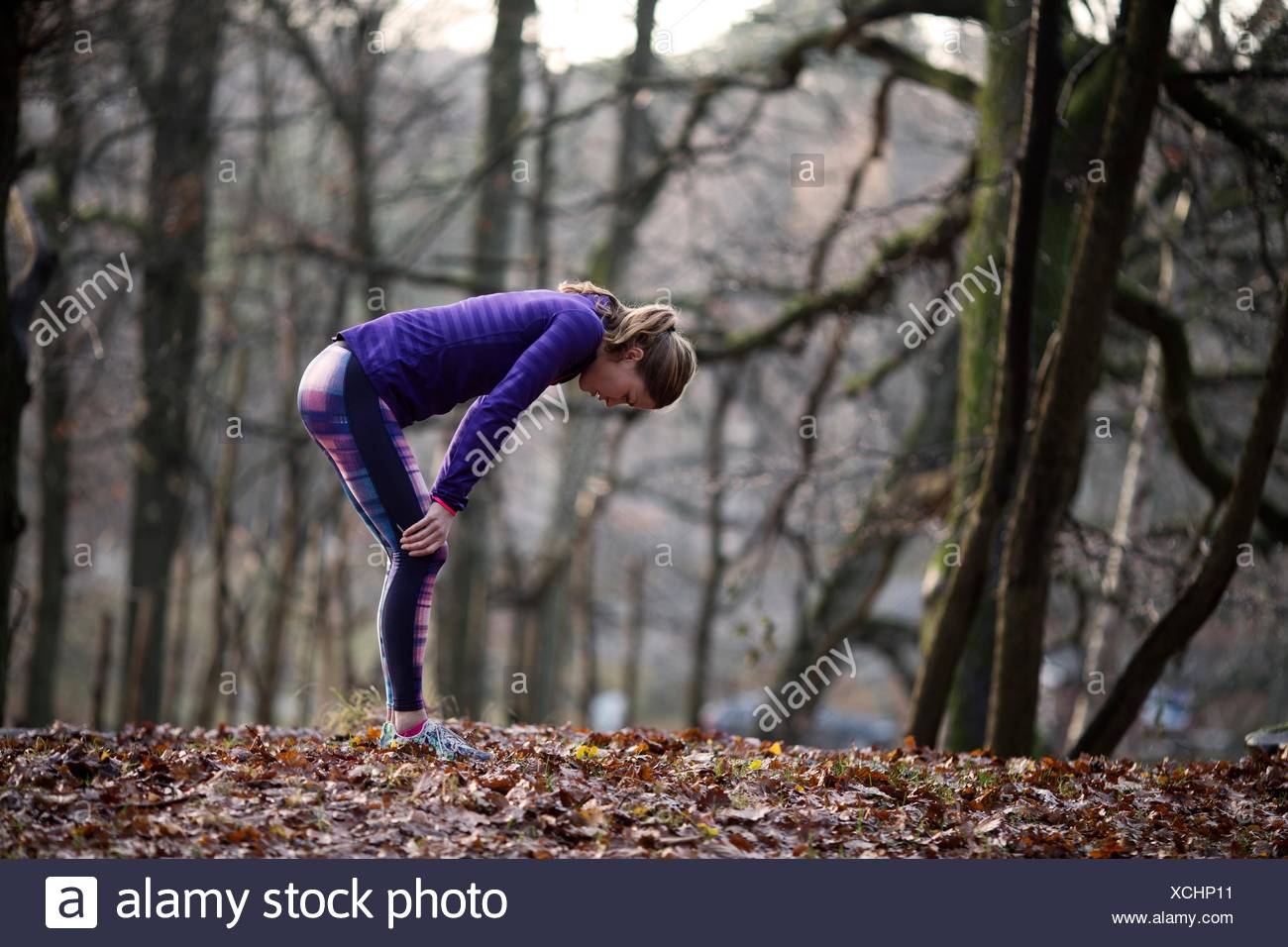 Les Mains Et Les Genoux Banque d'image et photos - Alamy