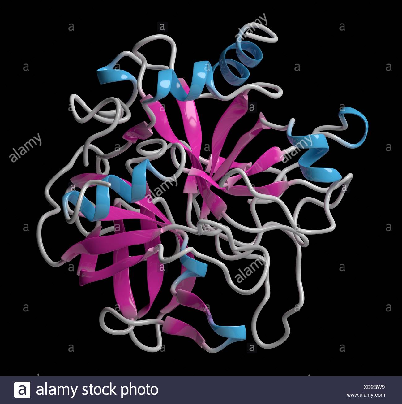 Cascade De Coagulation Sanguine Banque d'image et photos - Alamy