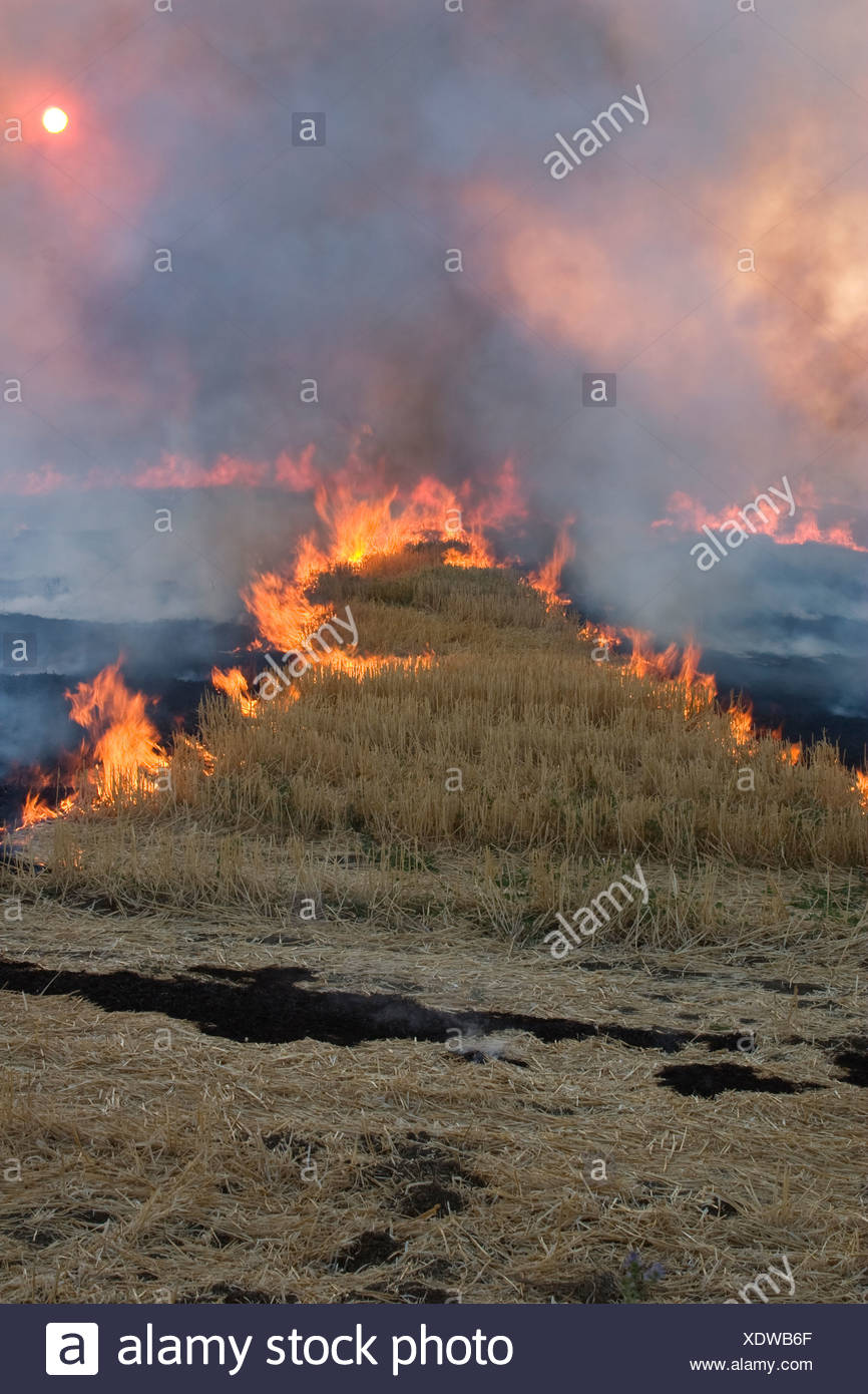 Champs De Feu Banque d'image et photos - Alamy
