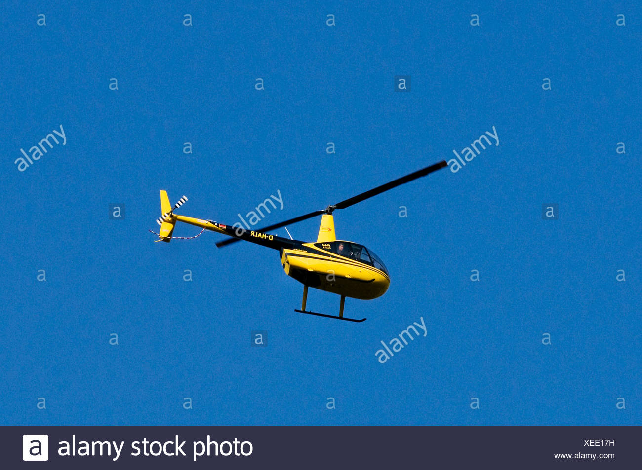 Vol Jaune Banque d'image et photos - Alamy