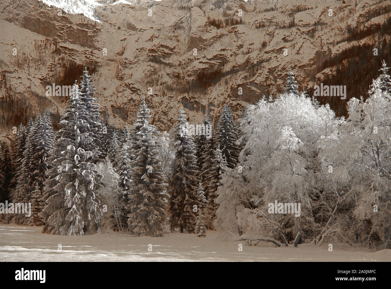 20 gradi sotto zero immagini e fotografie stock ad alta risoluzione - Alamy