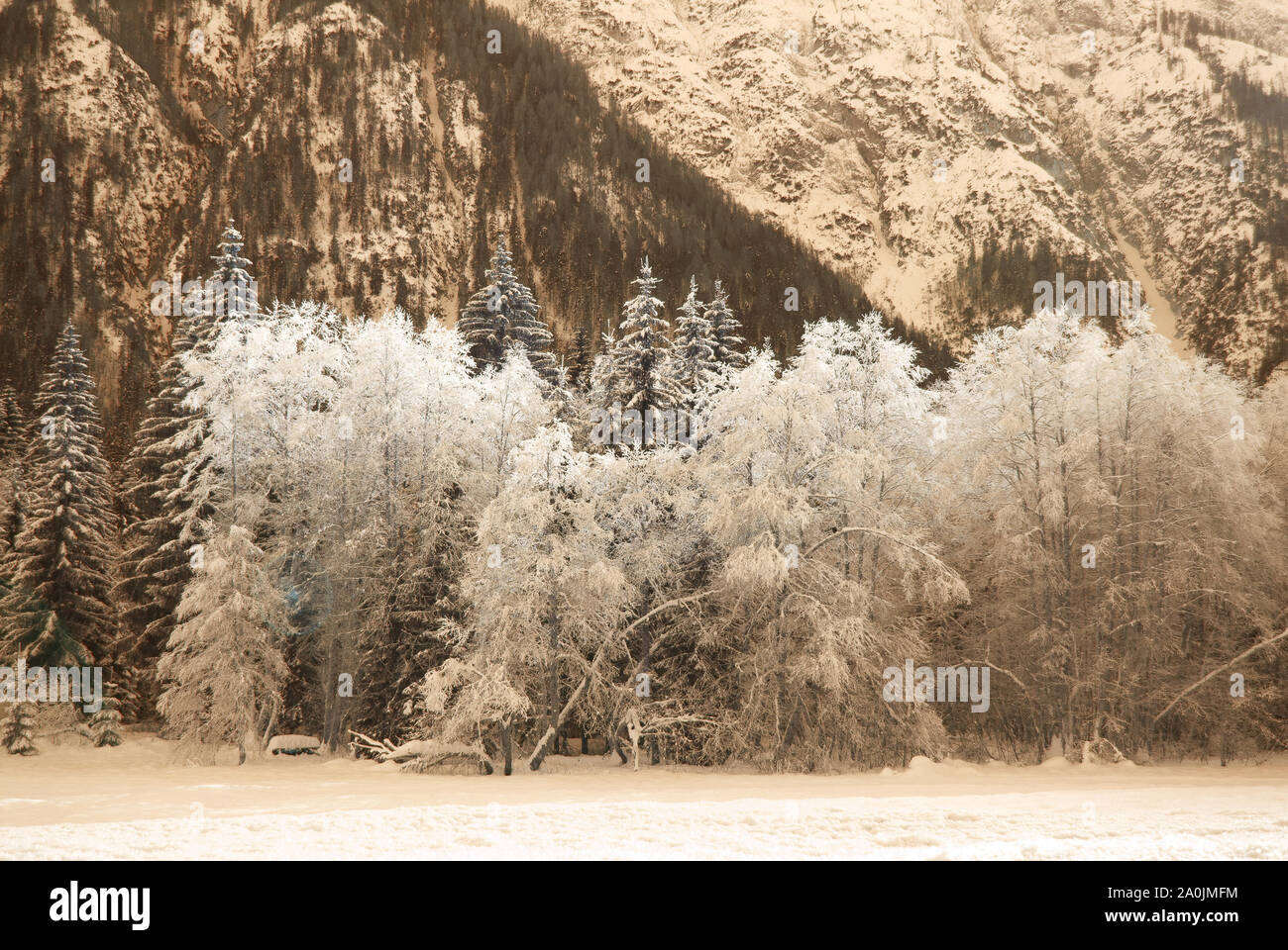 20 gradi sotto zero immagini e fotografie stock ad alta risoluzione - Alamy