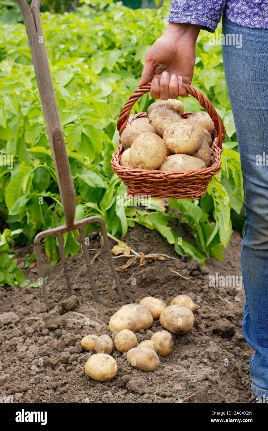 Scavato giardino immagini e fotografie stock ad alta risoluzione - Alamy