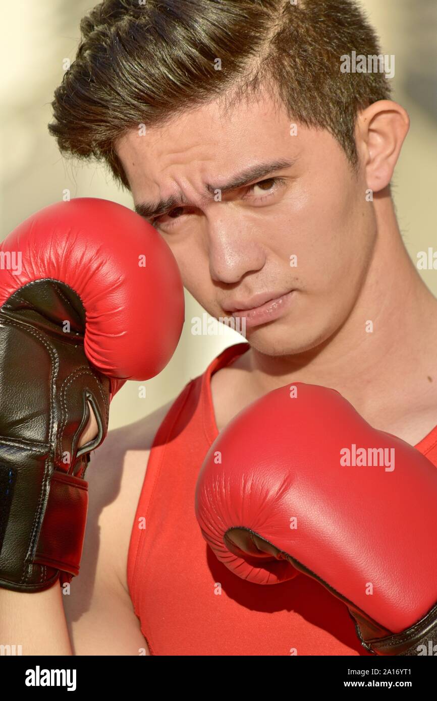 Boxer maschio adulto immagini e fotografie stock ad alta risoluzione ...