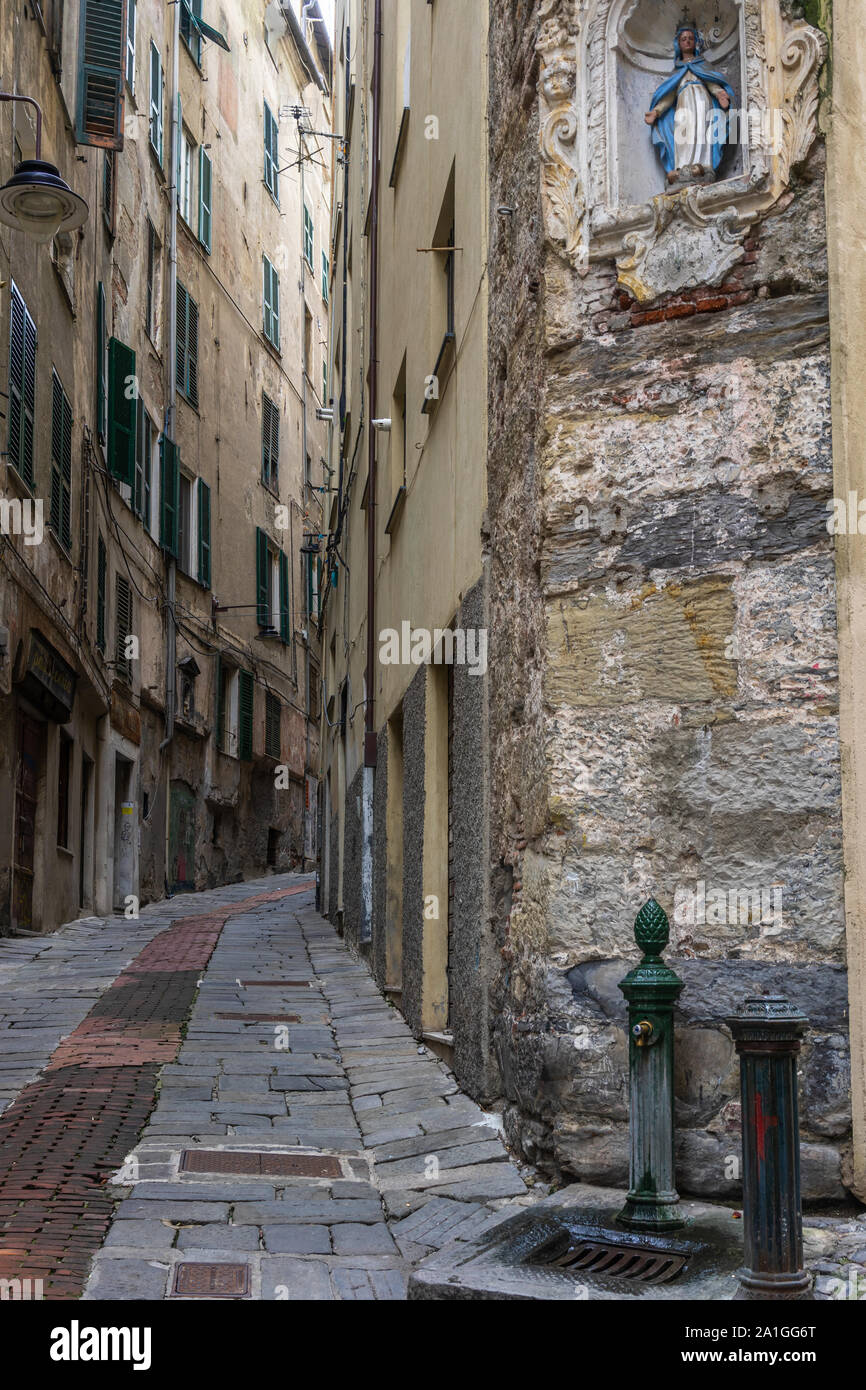 Le strette vie della città vecchia di Genova (Genova) in Liguria 2019 ...