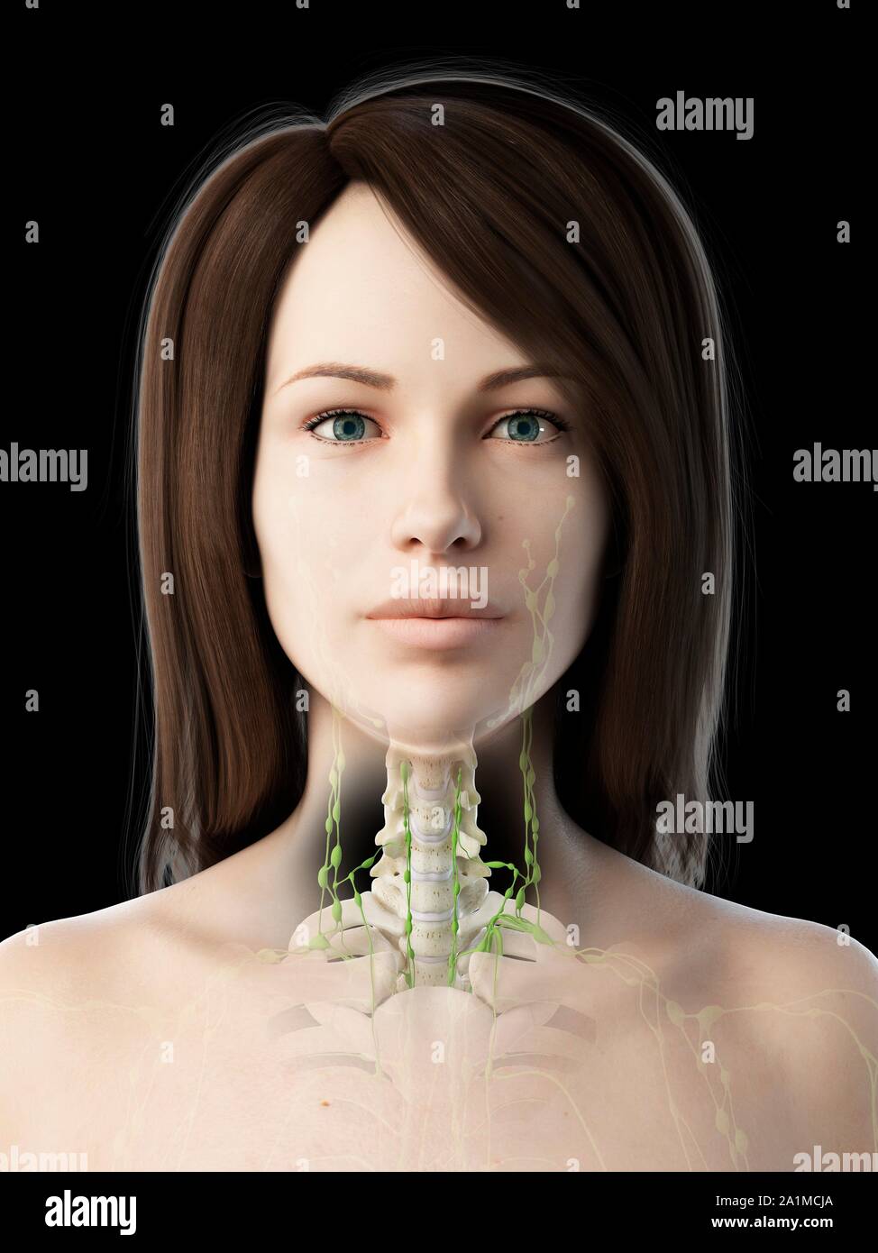Linfonodi viso immagini e fotografie stock ad alta risoluzione - Alamy