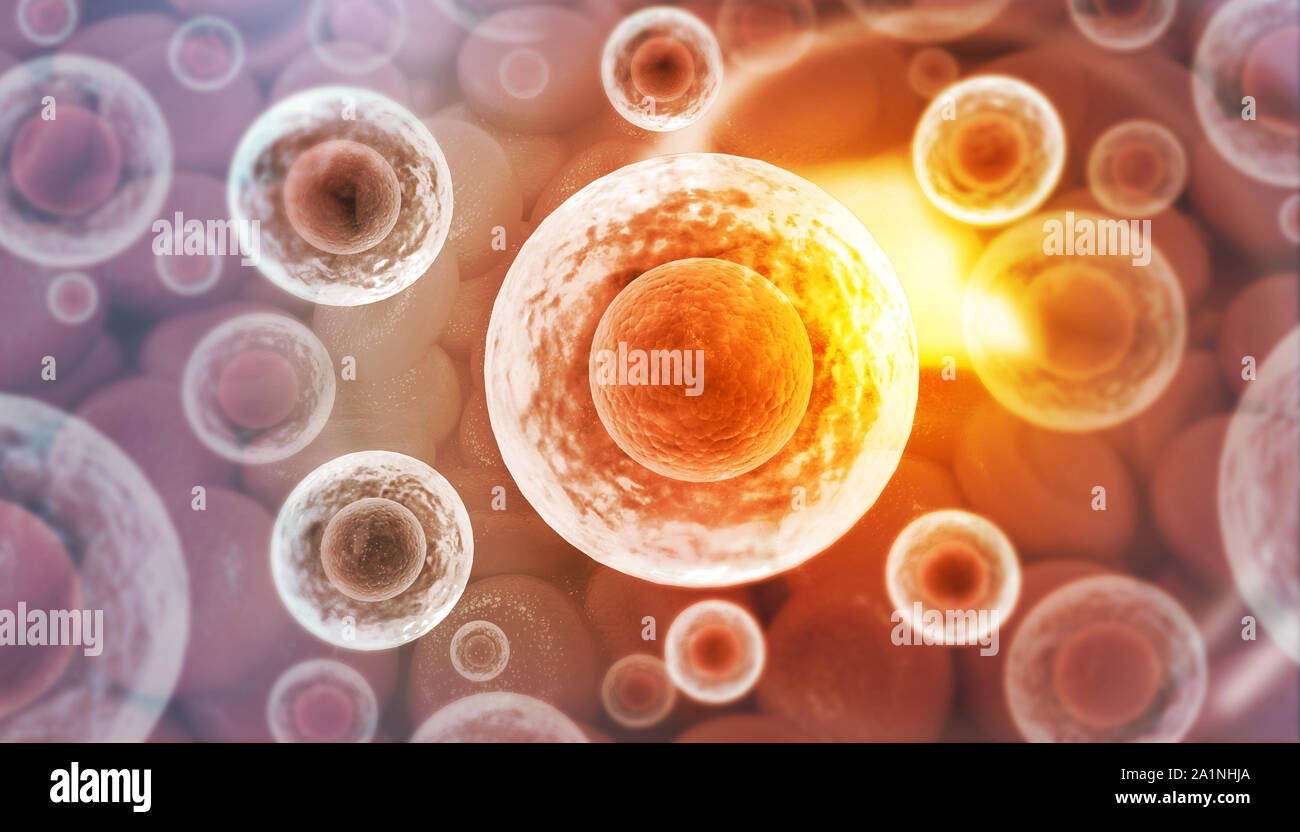 Diagramma Struttura Microbiologia Immagini e Fotos Stock - Alamy