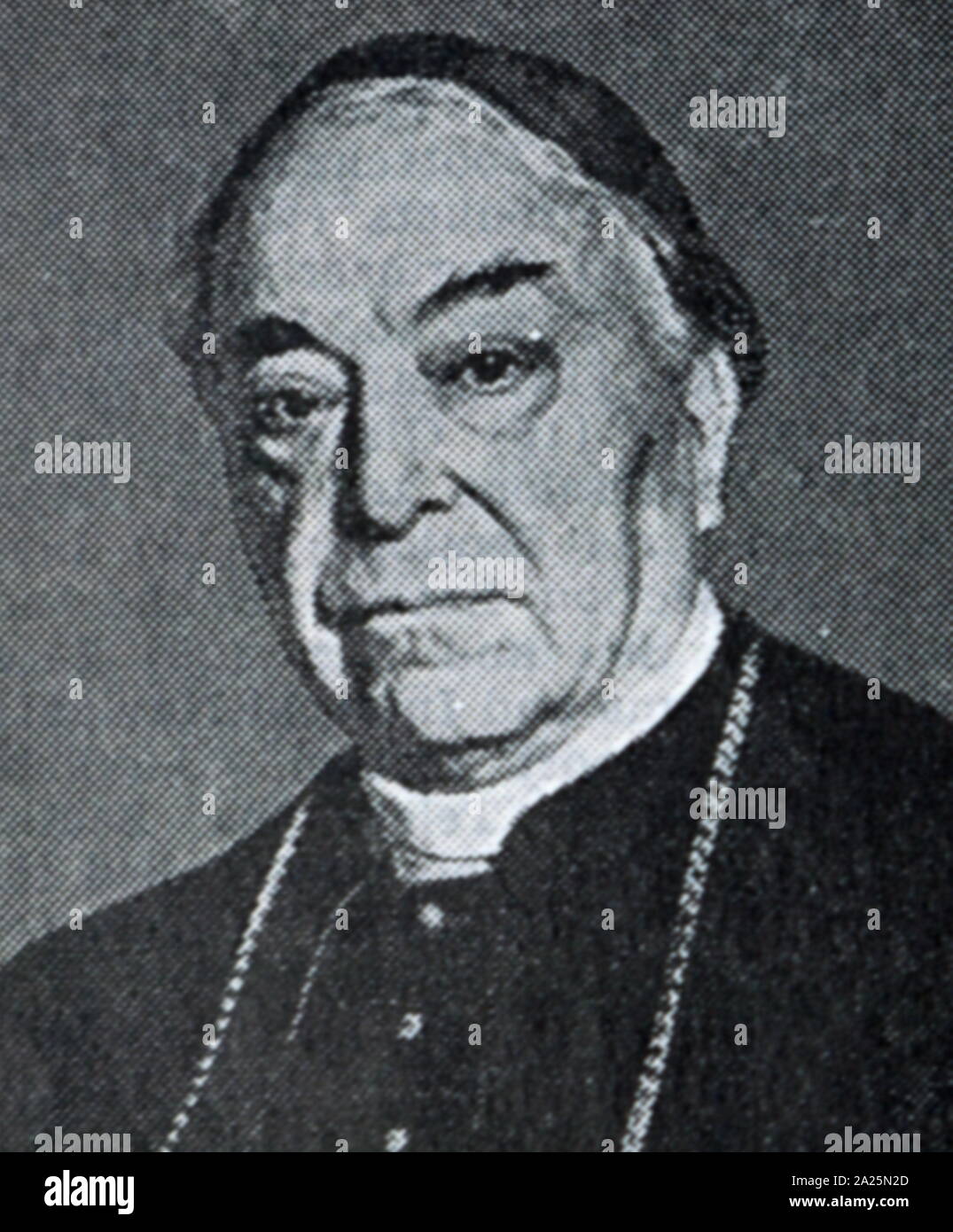 Cardinale cattolico immagini e fotografie stock ad alta risoluzione - Alamy Cardinale cattolico immagini e fotografie stock ad alta risoluzione - Alamy