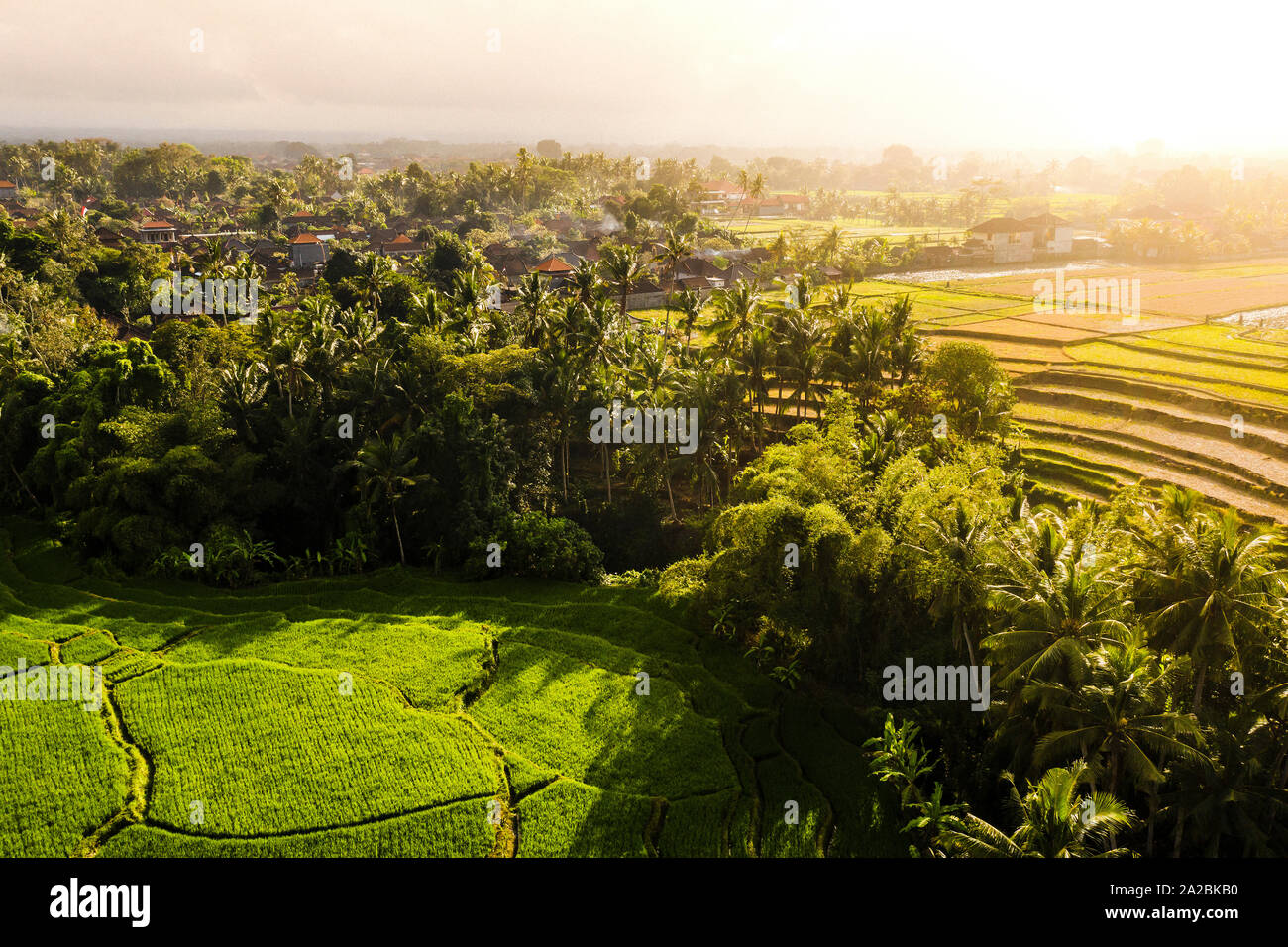Terrazza Del Riso Bali Immagini e Fotos Stock - Alamy