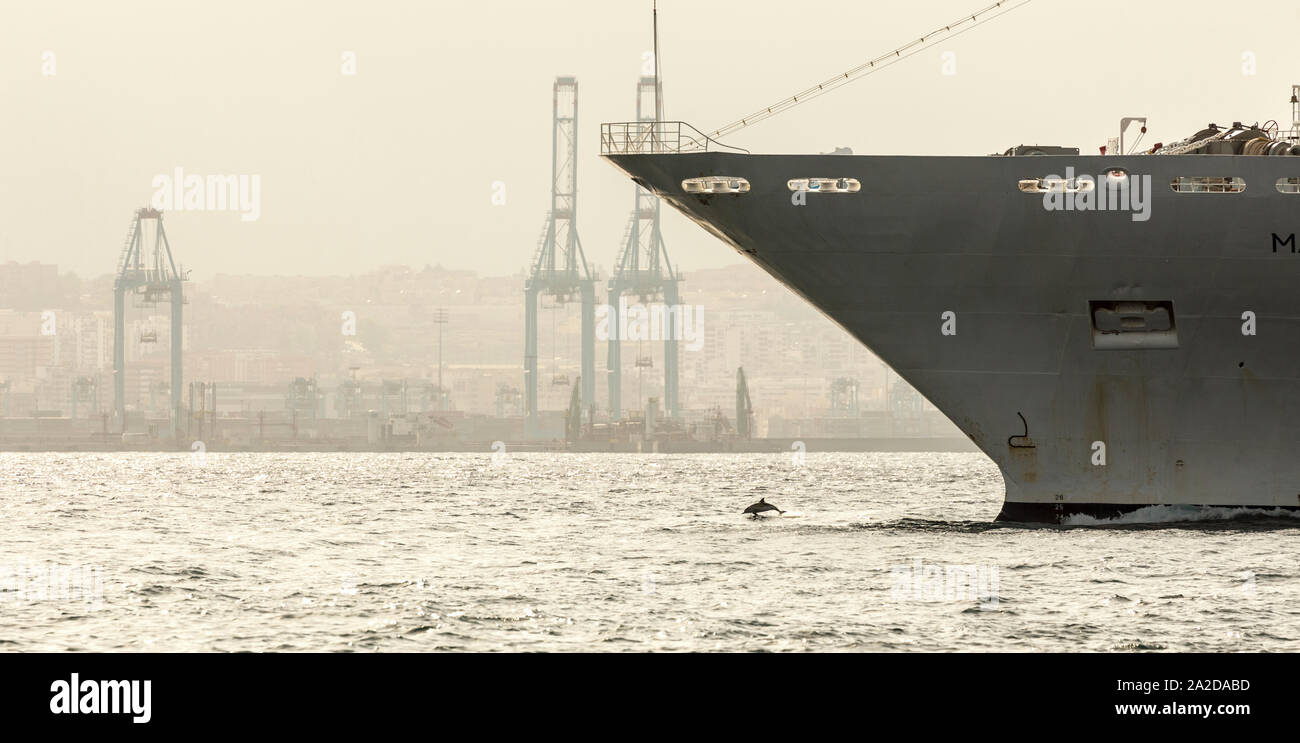 La prua della nave immagini e fotografie stock ad alta risoluzione - Alamy