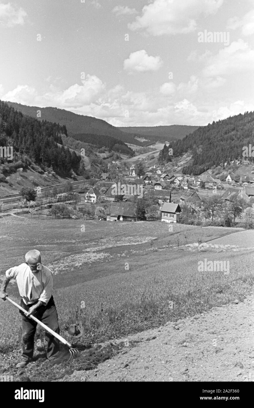 Ein bauer bearbeitet mit dem rechen das feld immagini e fotografie ...