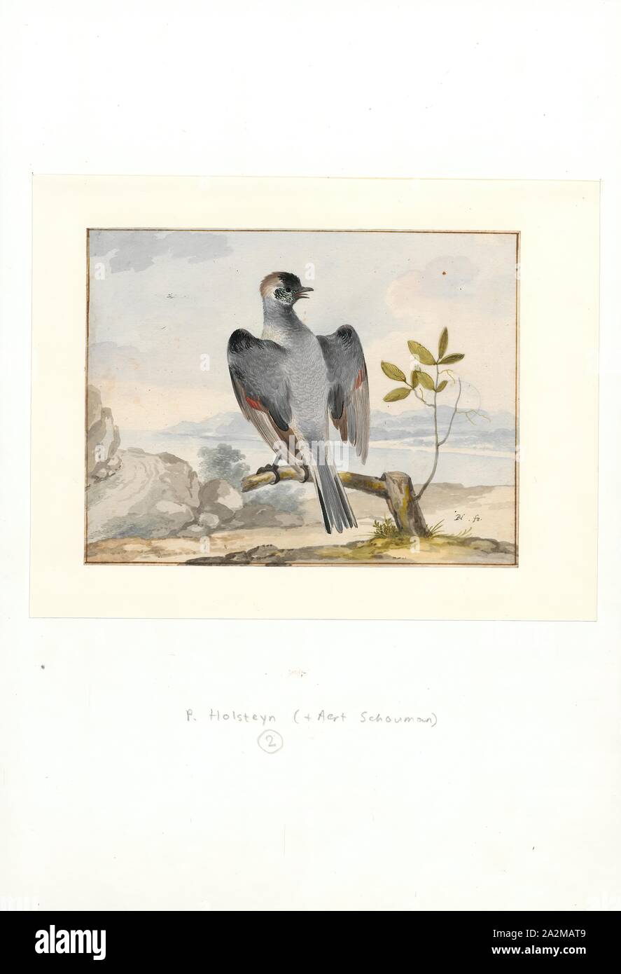 Ceres carnosi immagini e fotografie stock ad alta risoluzione - Alamy