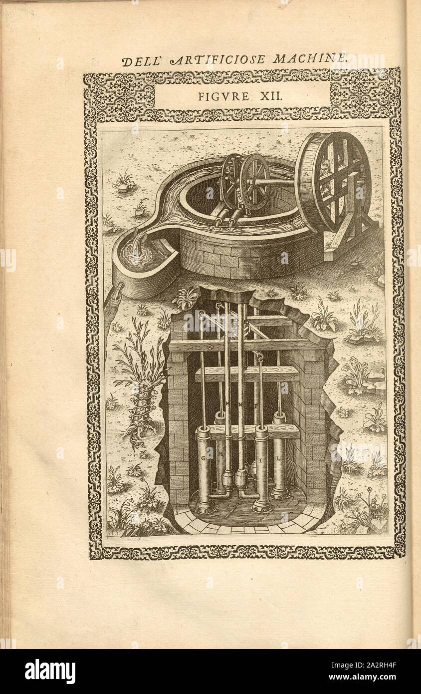 Fig xii immagini e fotografie stock ad alta risoluzione - Alamy