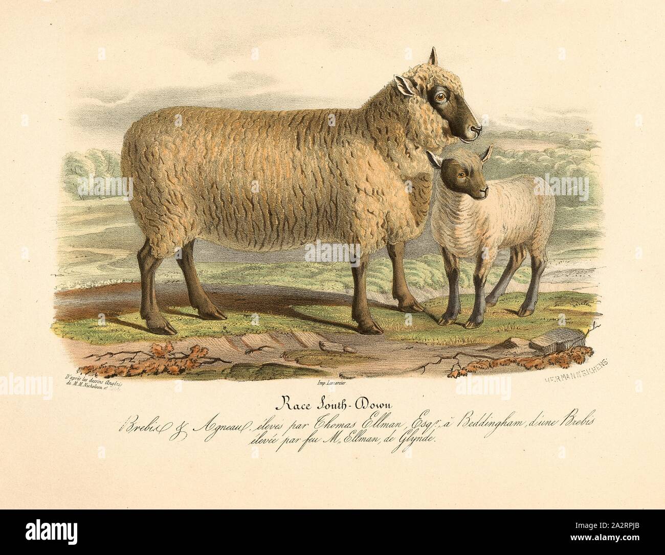 Sud dapres immagini e fotografie stock ad alta risoluzione - Alamy