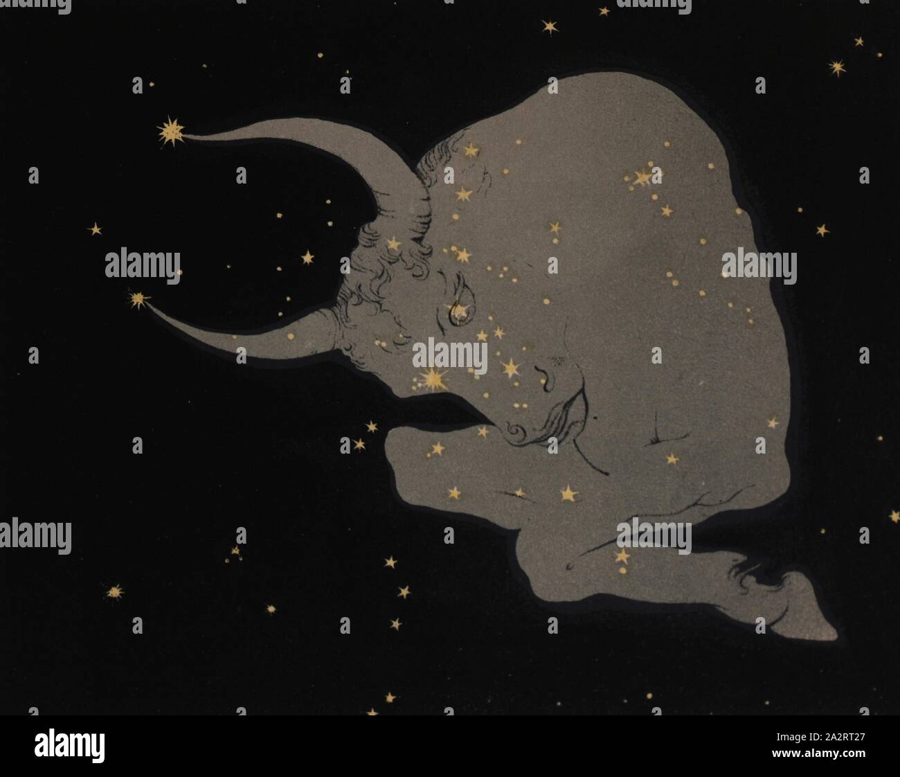 Taurus constellation immagini e fotografie stock ad alta risoluzione ...