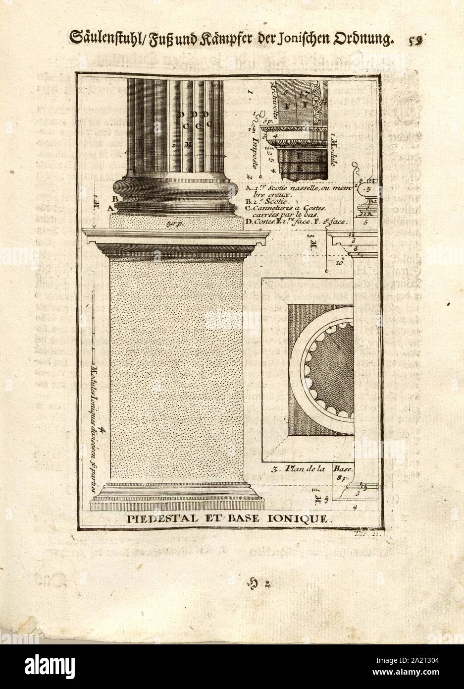 Base della colonna ionica immagini e fotografie stock ad alta ...
