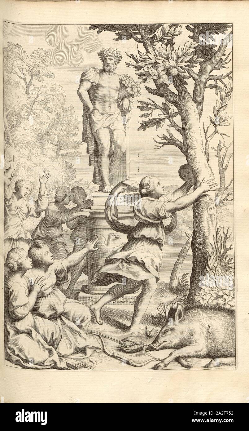 La metamorfosi di Leonilla, la trasformazione del Leonilla in una ...