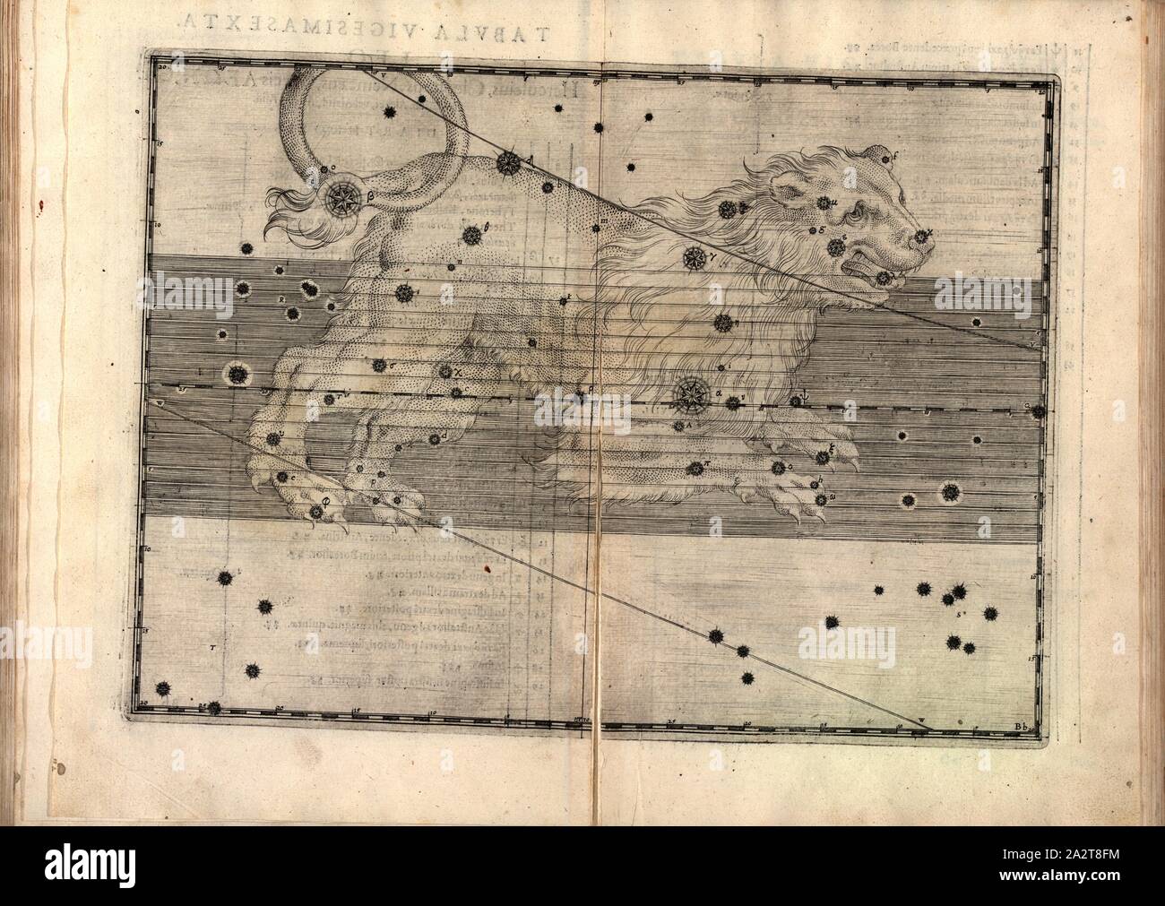Costellazione leone immagini e fotografie stock ad alta risoluzione - Alamy