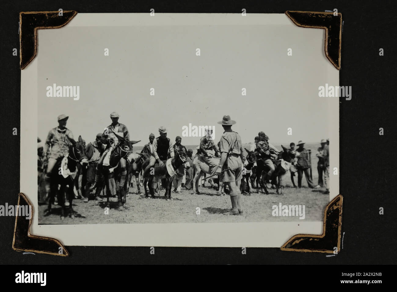 Fotografia - "onkey gara a Beit Manteniamo anche", Medio Oriente, Suor ...
