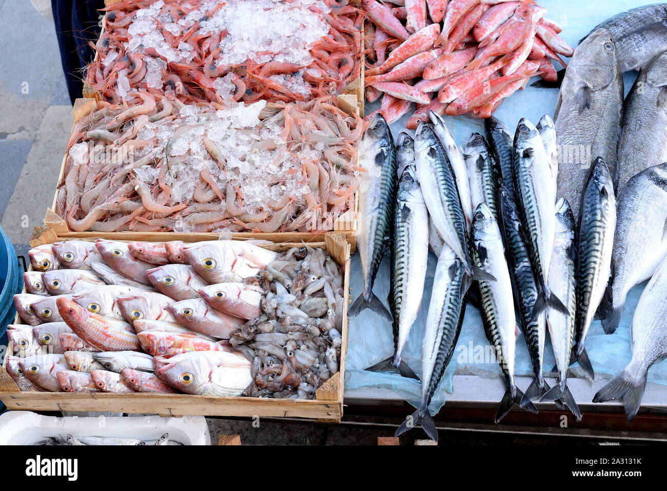 Pesci di cicale di mare immagini e fotografie stock ad alta risoluzione ...