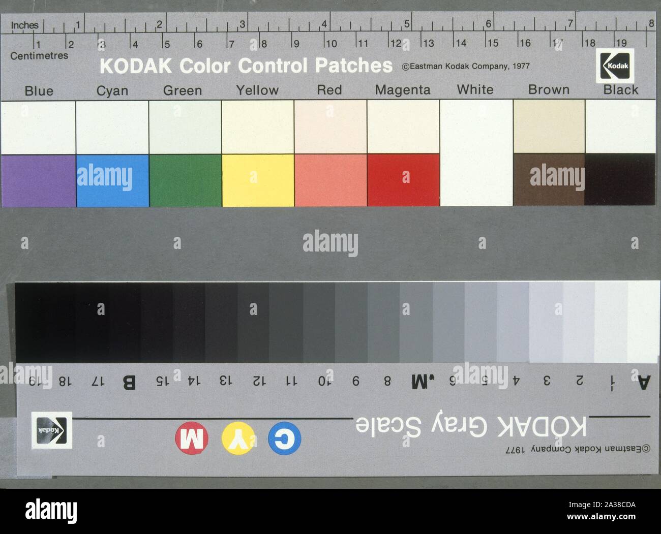ESCALA DE COLOR Y ESCALA DE grigi Foto stock - Alamy