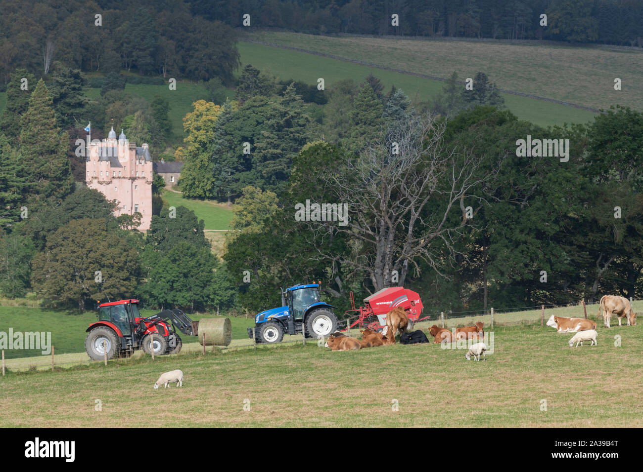 Trattori blu immagini e fotografie stock ad alta risoluzione - Alamy