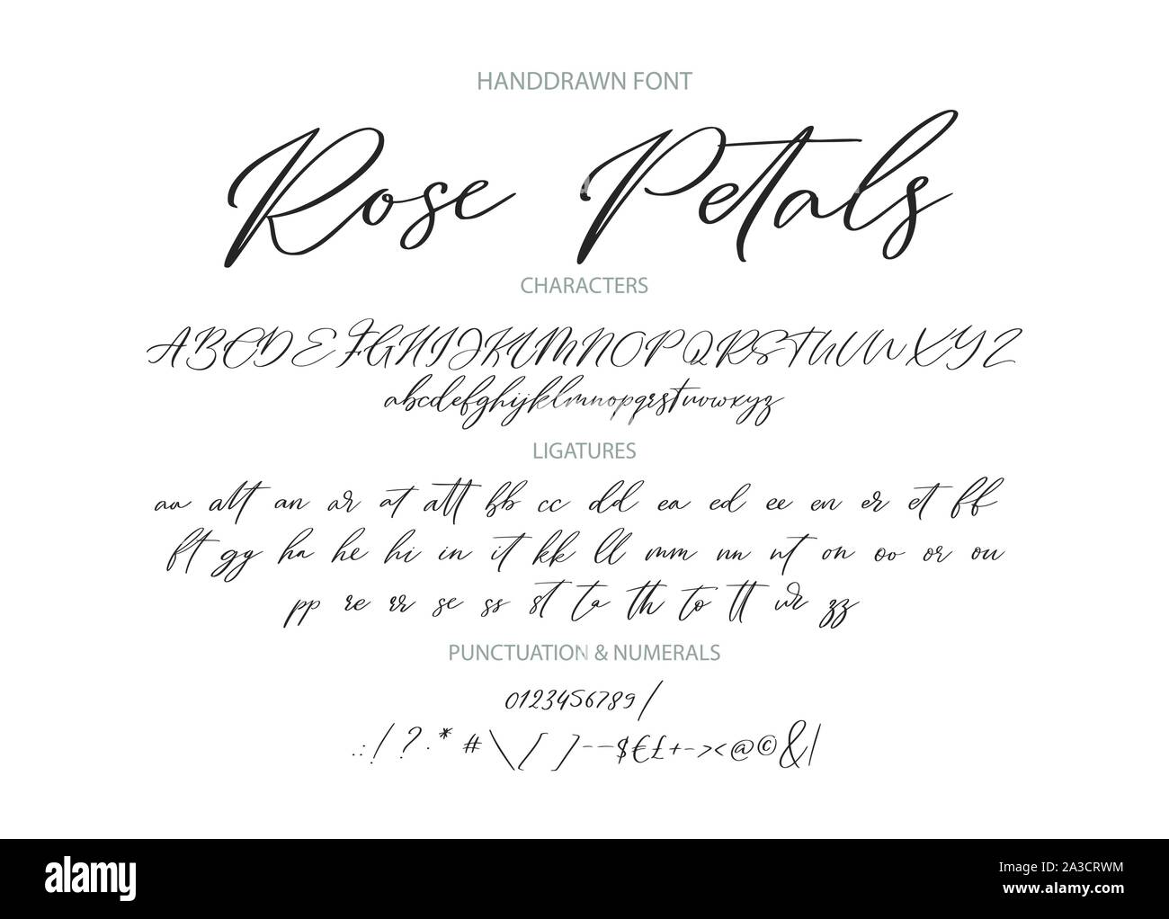 Disegnato a mano vintage calligrafico font vettoriali. Angoscia grunge ...