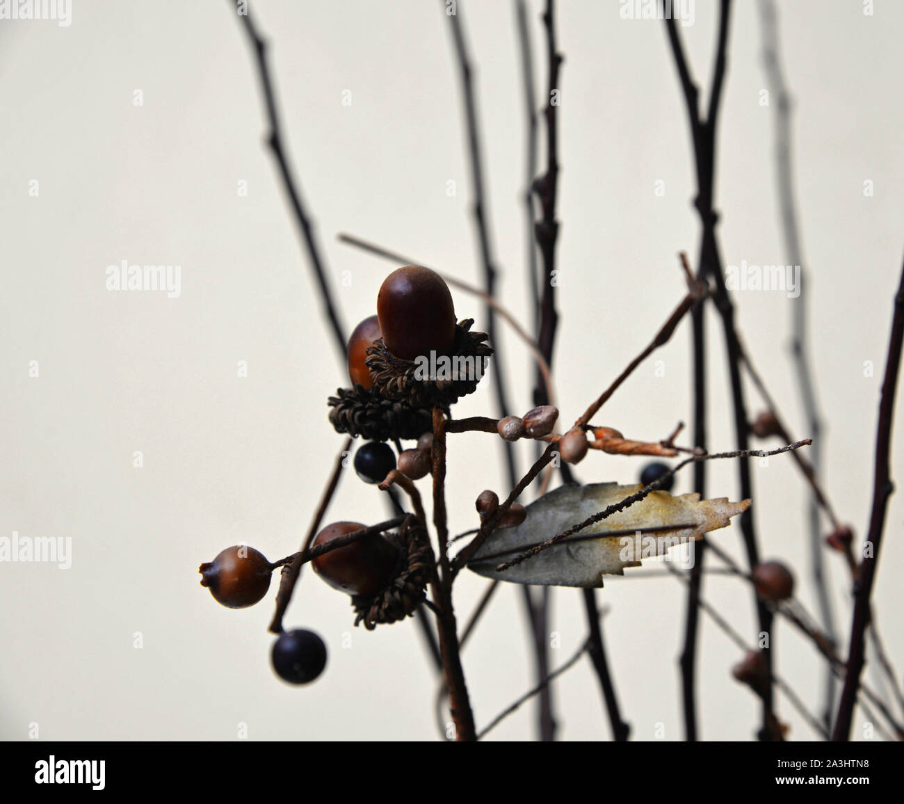 Ramoscelli di agrifoglio decorativi immagini e fotografie stock ad alta ...