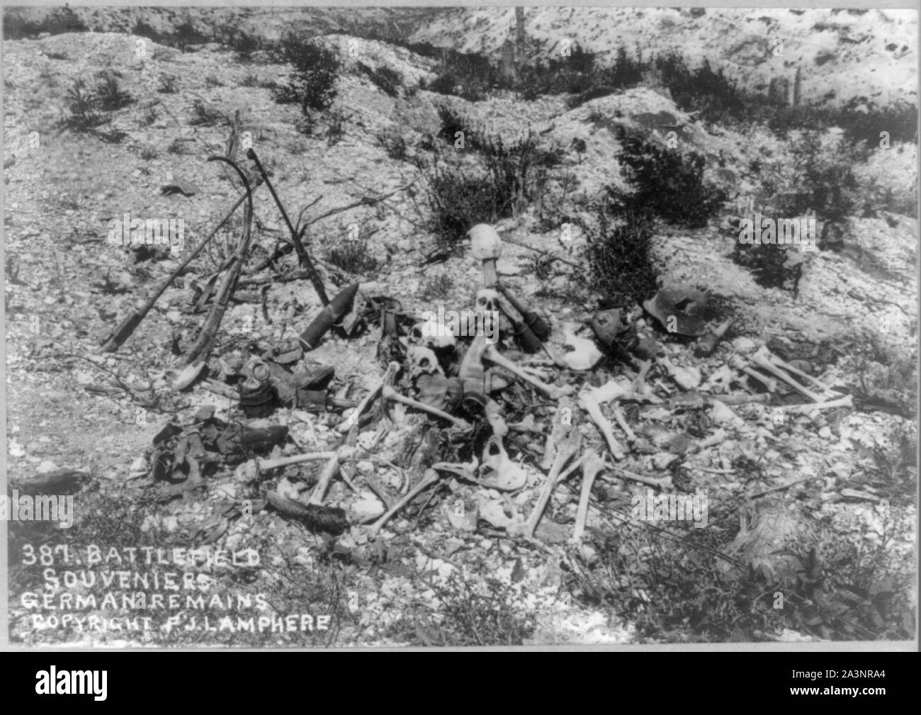 Scheletri di foto immagini e fotografie stock ad alta risoluzione - Alamy