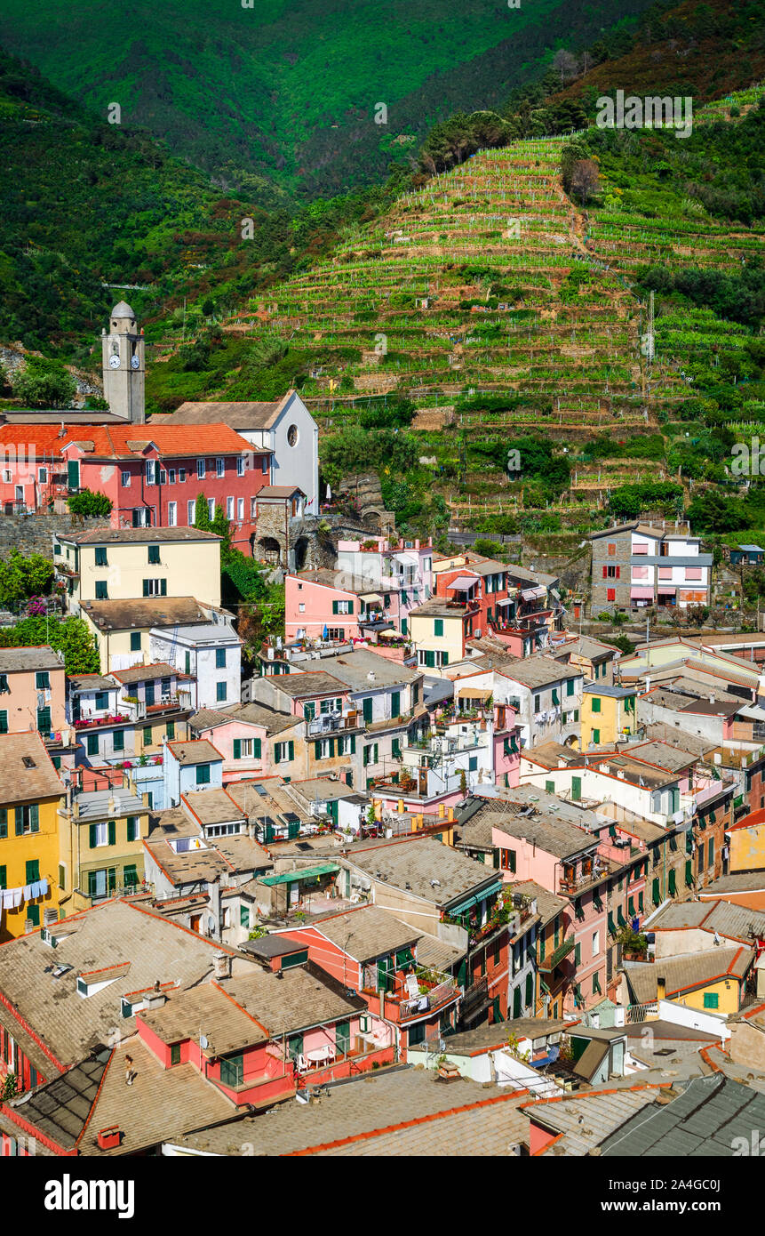 La città di Vernazza e vigneti circostanti dal Castello dei Doria ...