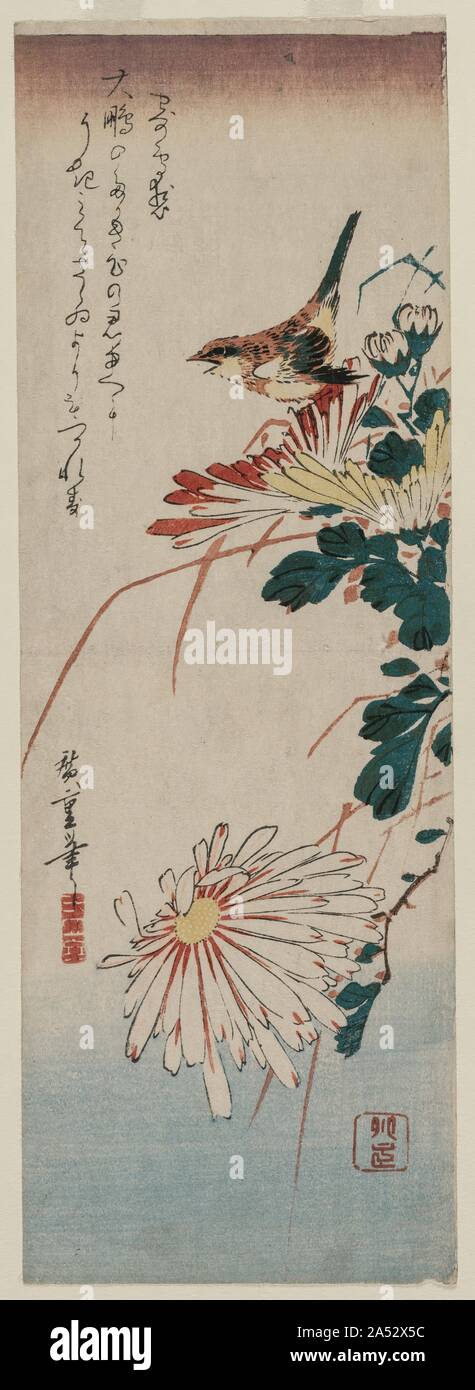 Mid 1830s immagini e fotografie stock ad alta risoluzione - Alamy