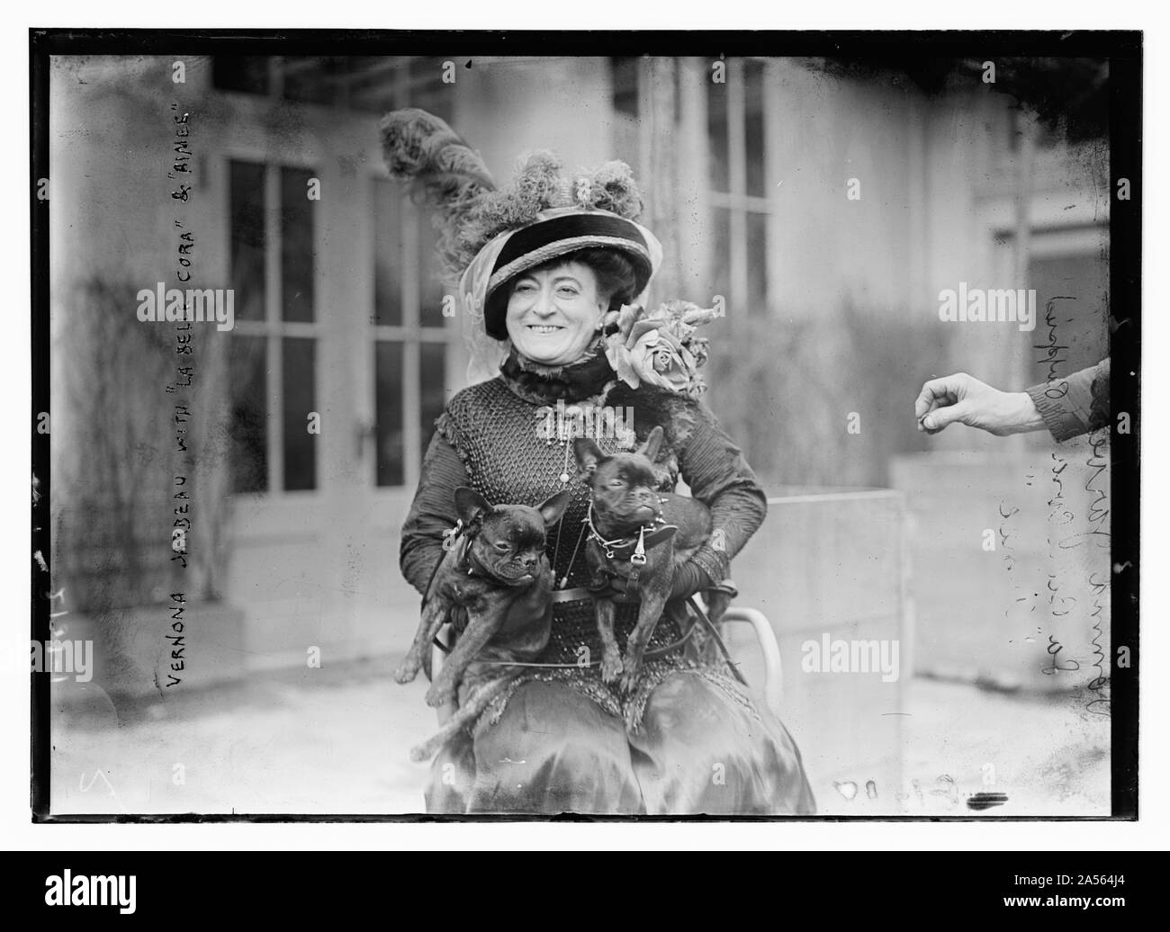 Bella cora immagini e fotografie stock ad alta risoluzione - Alamy