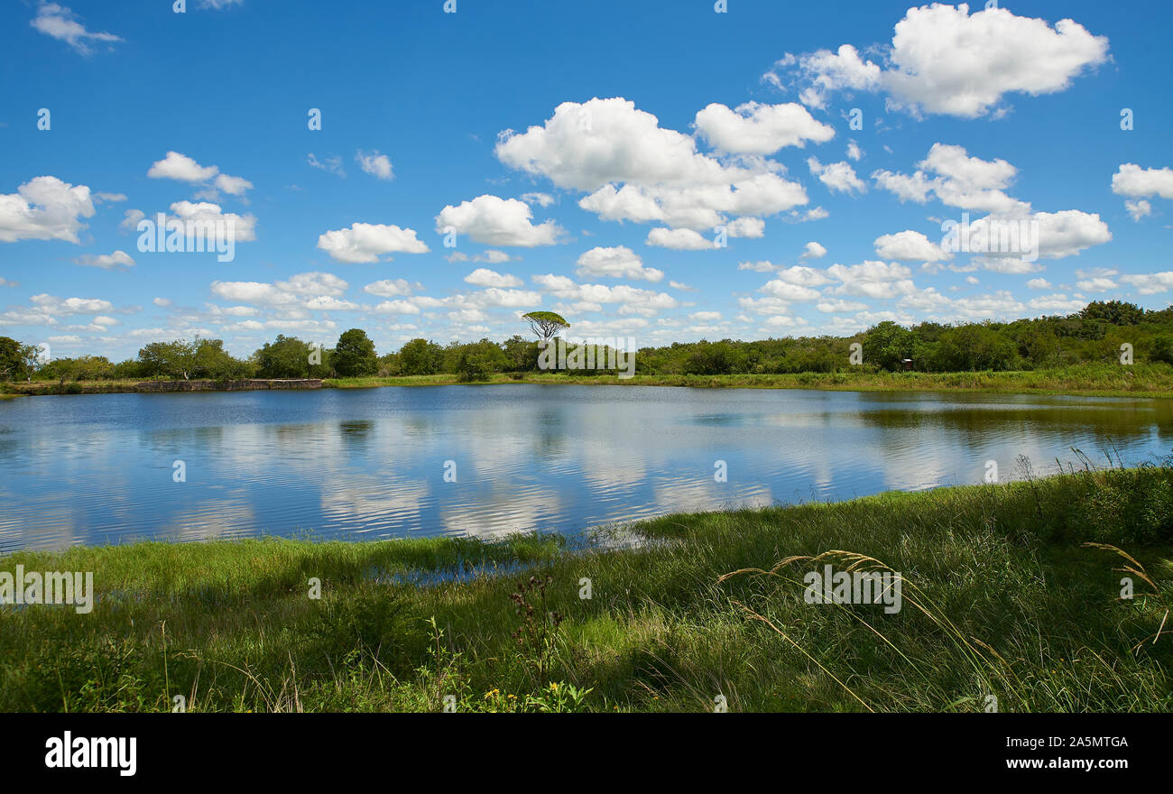Lago artificiale per la pesca immagini e fotografie stock ad alta ...