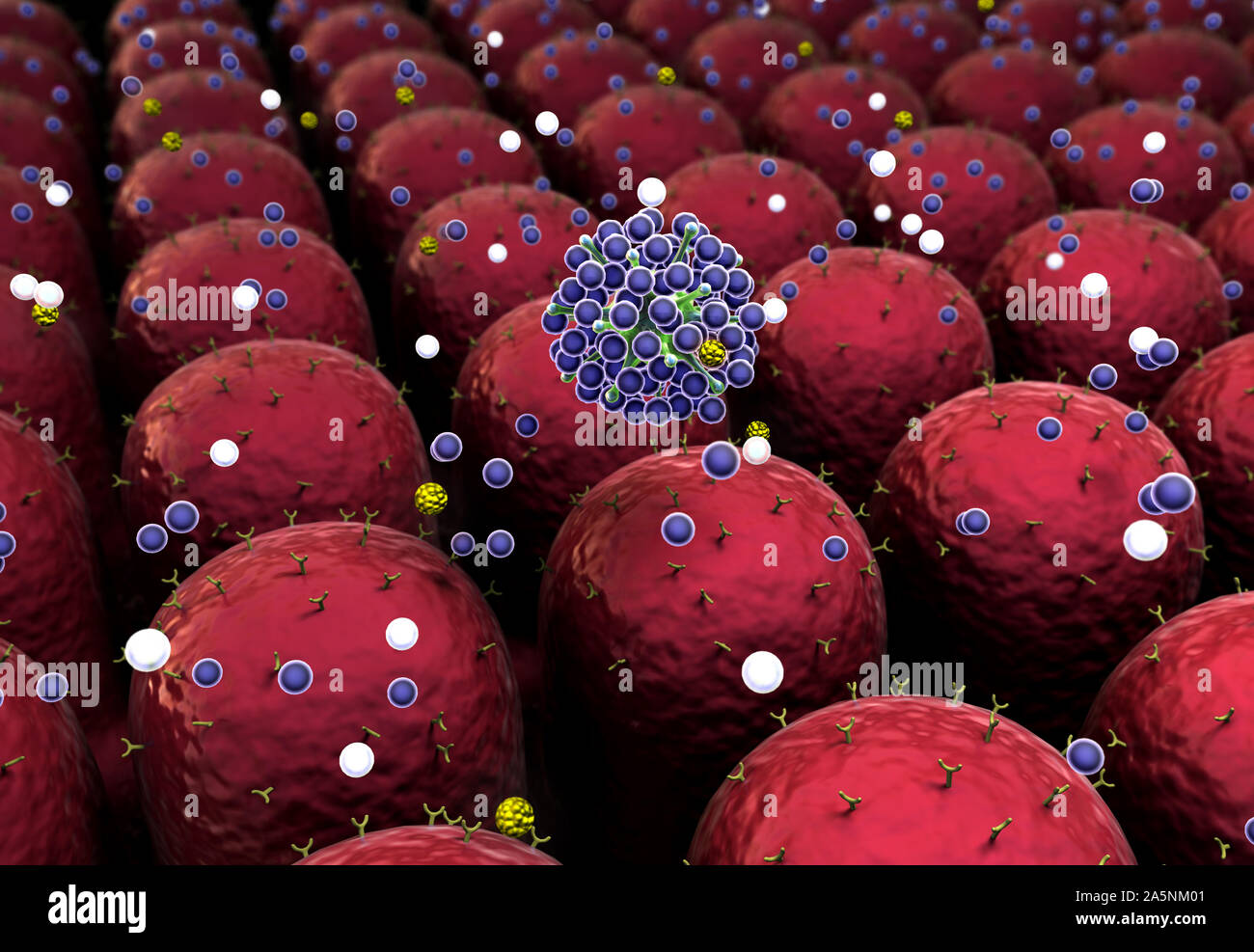 Organello citoplasmatico immagini e fotografie stock ad alta ...