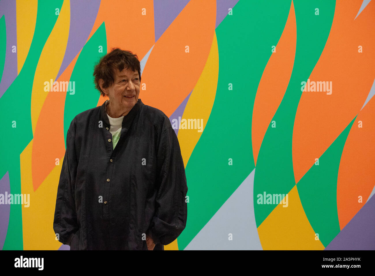 Bridget riley op art painting immagini e fotografie stock ad alta ...