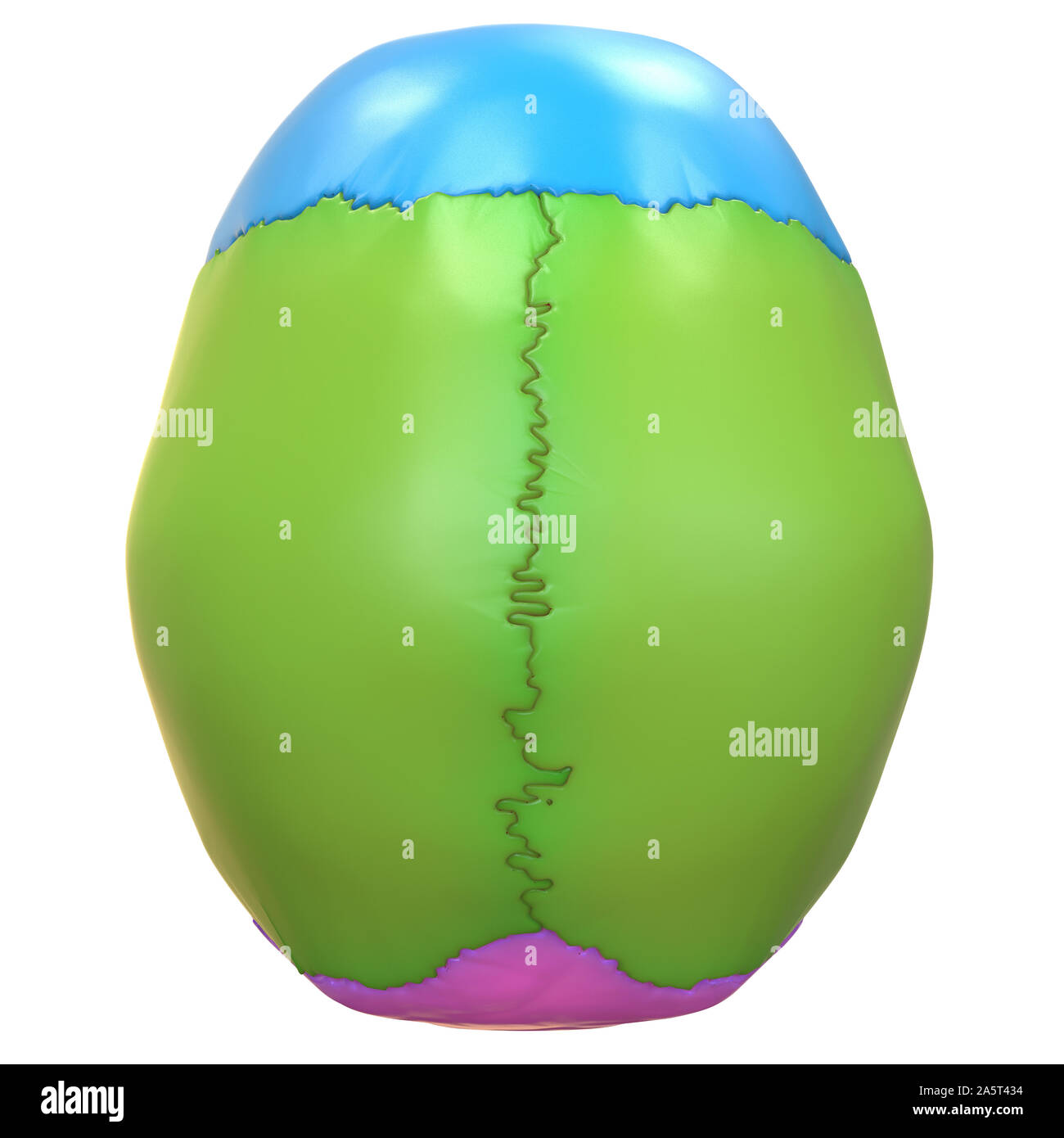 Ossa del cranio anatomia immagini e fotografie stock ad alta ...