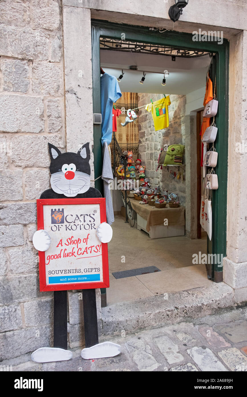 Gatto kotor immagini e fotografie stock ad alta risoluzione - Alamy