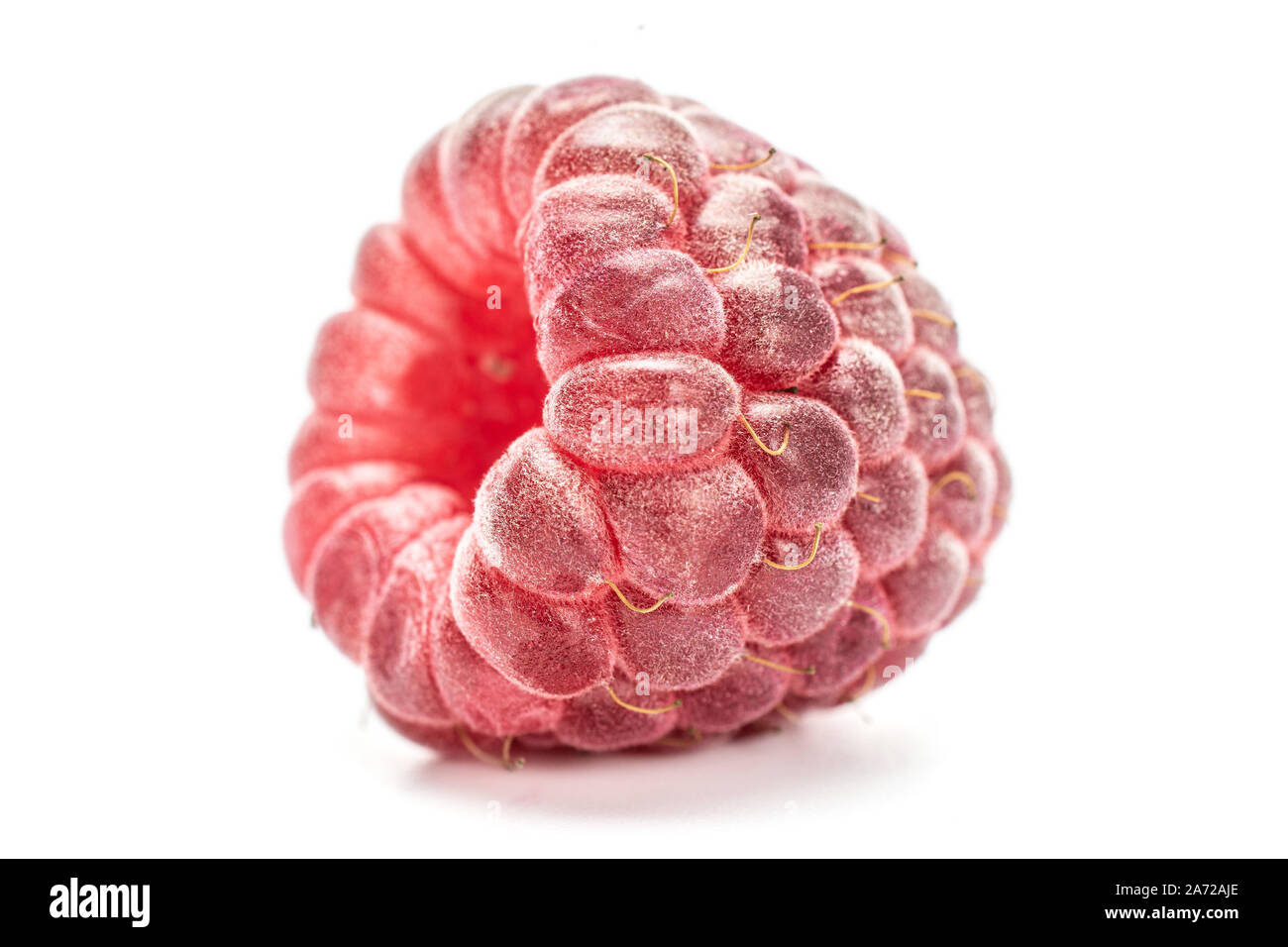 Lampone rosso eurasiatico Immagini senza sfondo e Foto Stock ritagliate ...