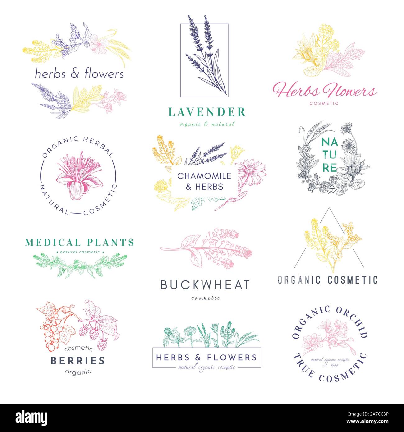Prodotti cosmetici logo disegnati a mano vector set. Piante medicinali ...