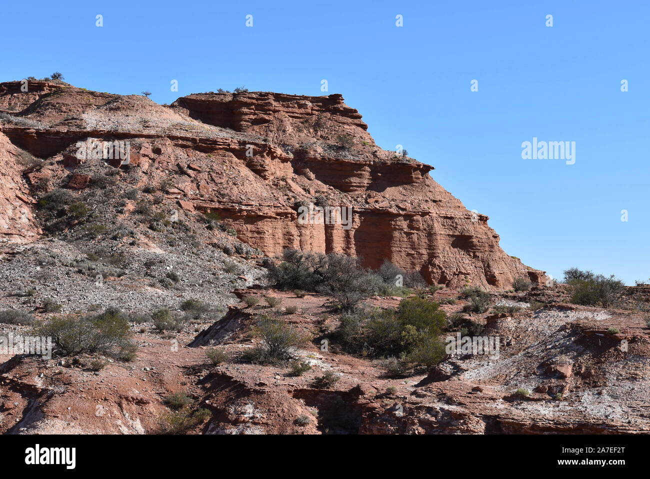 Quijadas Memes Fetiches Raros De Gente Rara まれなフェチ Home