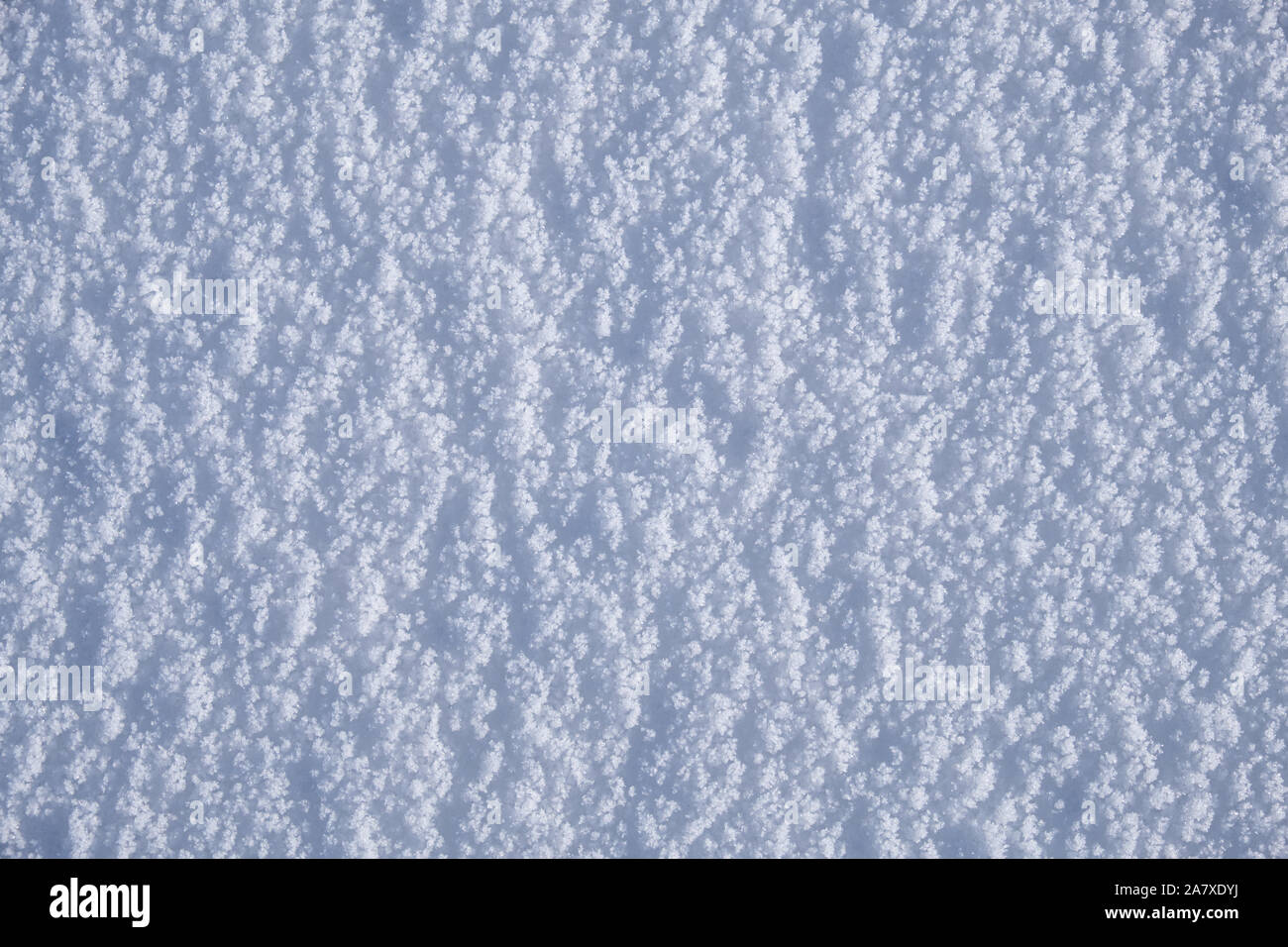 Cold fresh natural backdrop immagini e fotografie stock ad alta ...