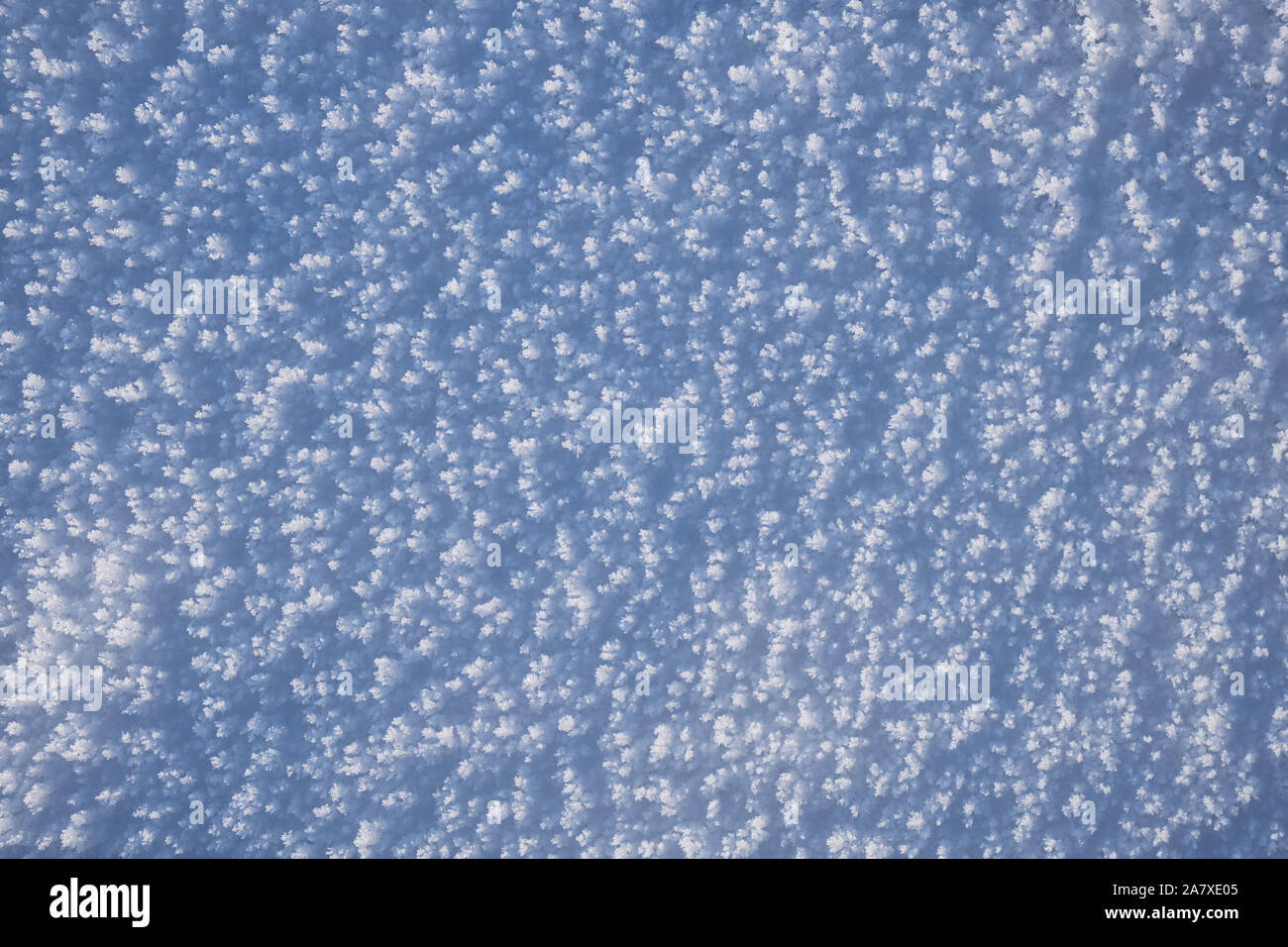 Cold fresh natural backdrop immagini e fotografie stock ad alta ...